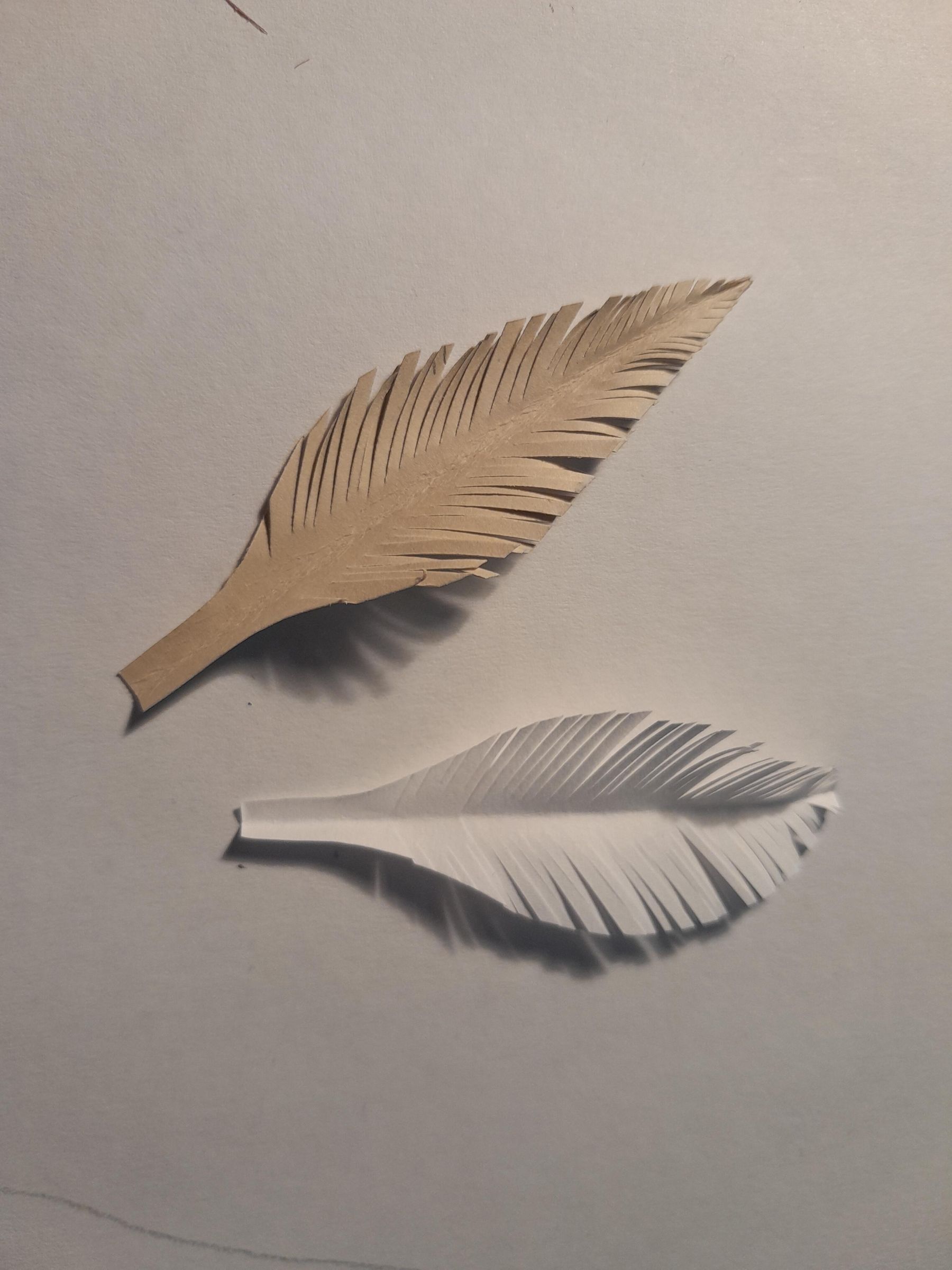 Constructing Paper Feathers : 6 Steps - Instructables