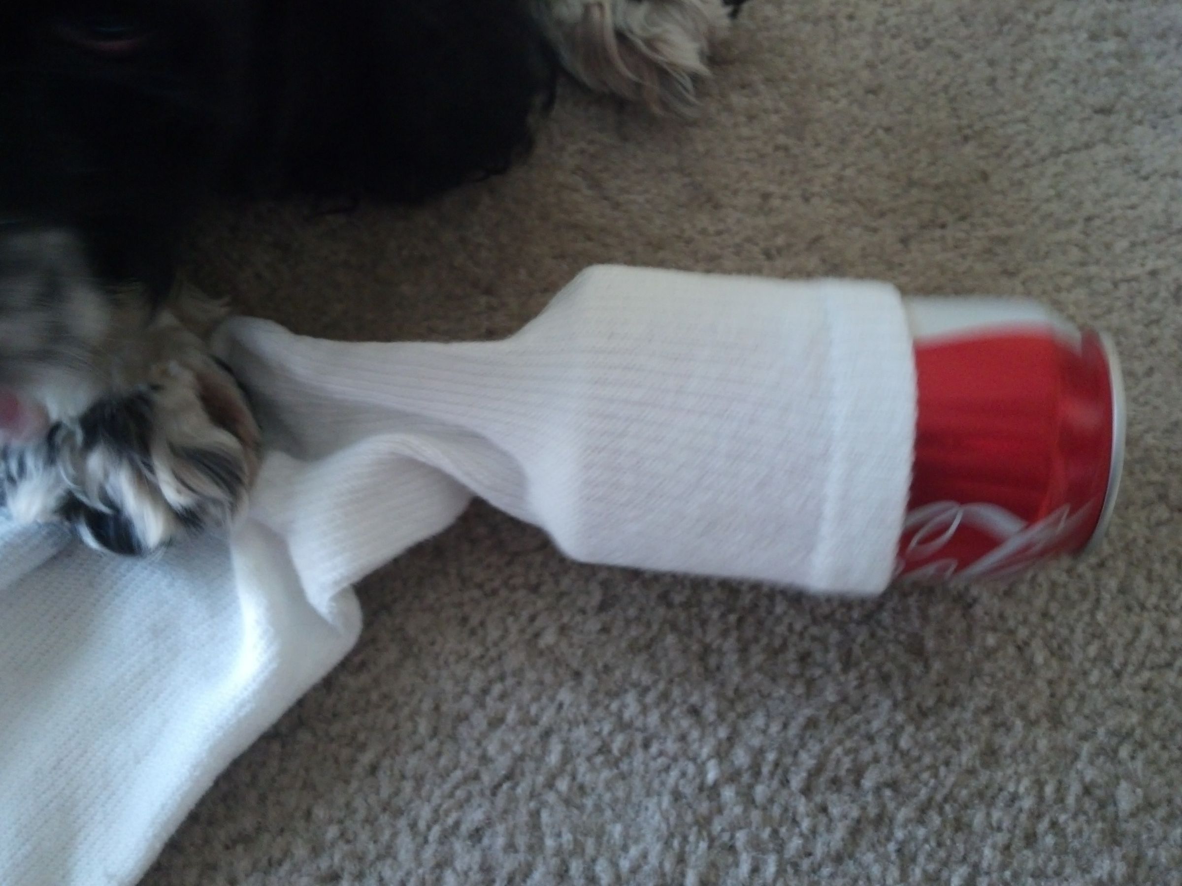 Sock Bottle Dog Toy - Instructables