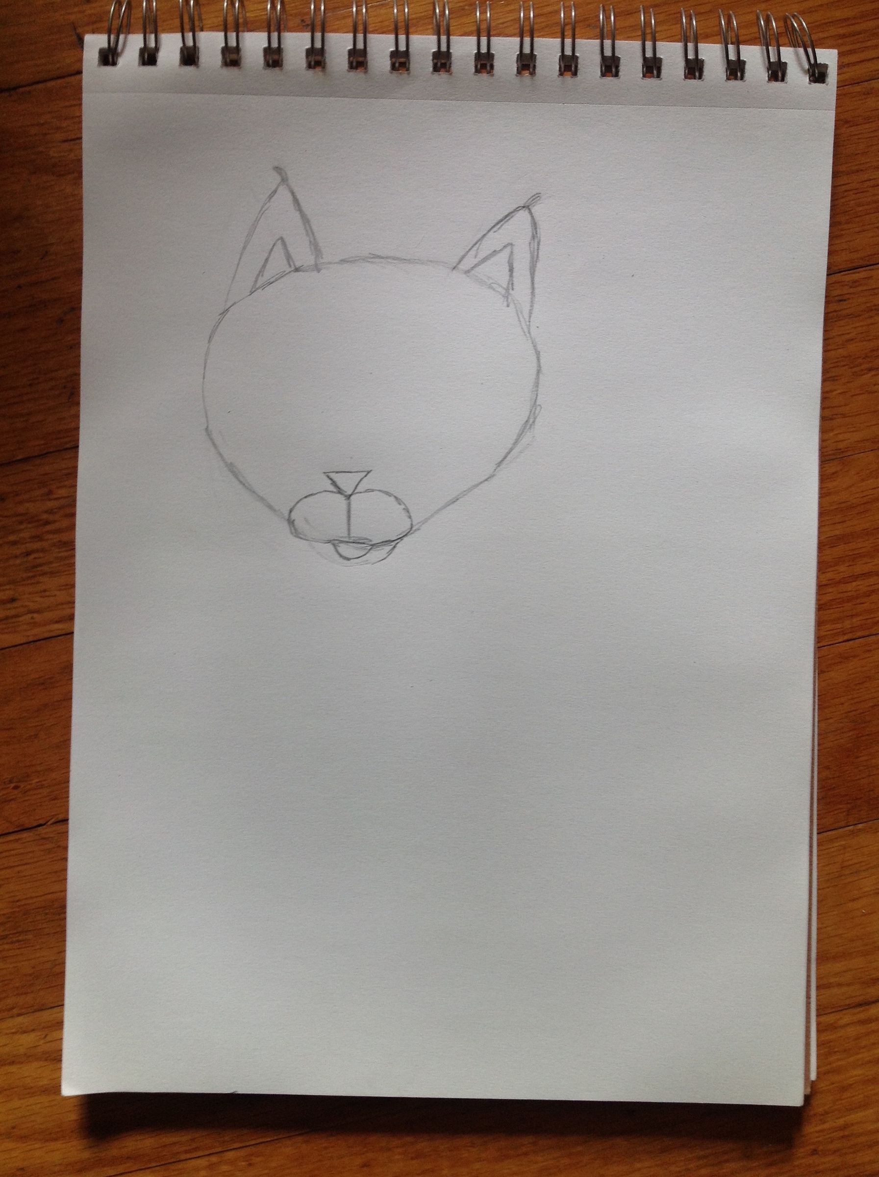 How to Draw a Fat Cat : 9 Steps - Instructables
