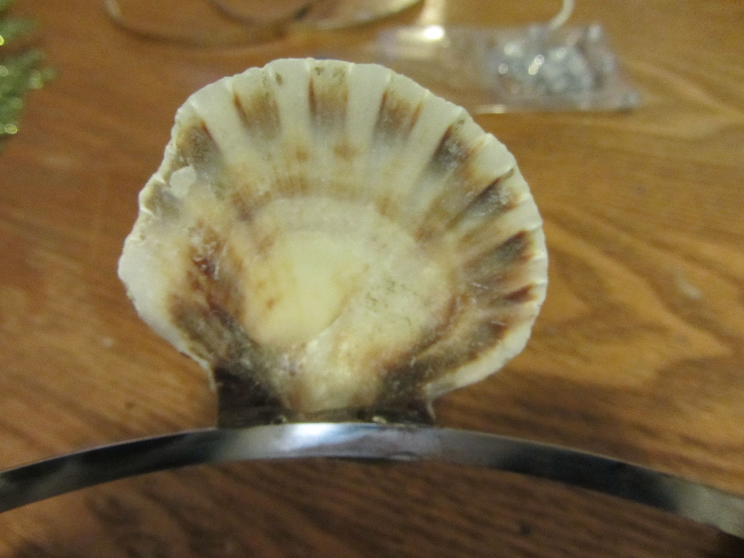 DIY Simple Mermaid Shell Crown : 7 Steps (with Pictures) - Instructables