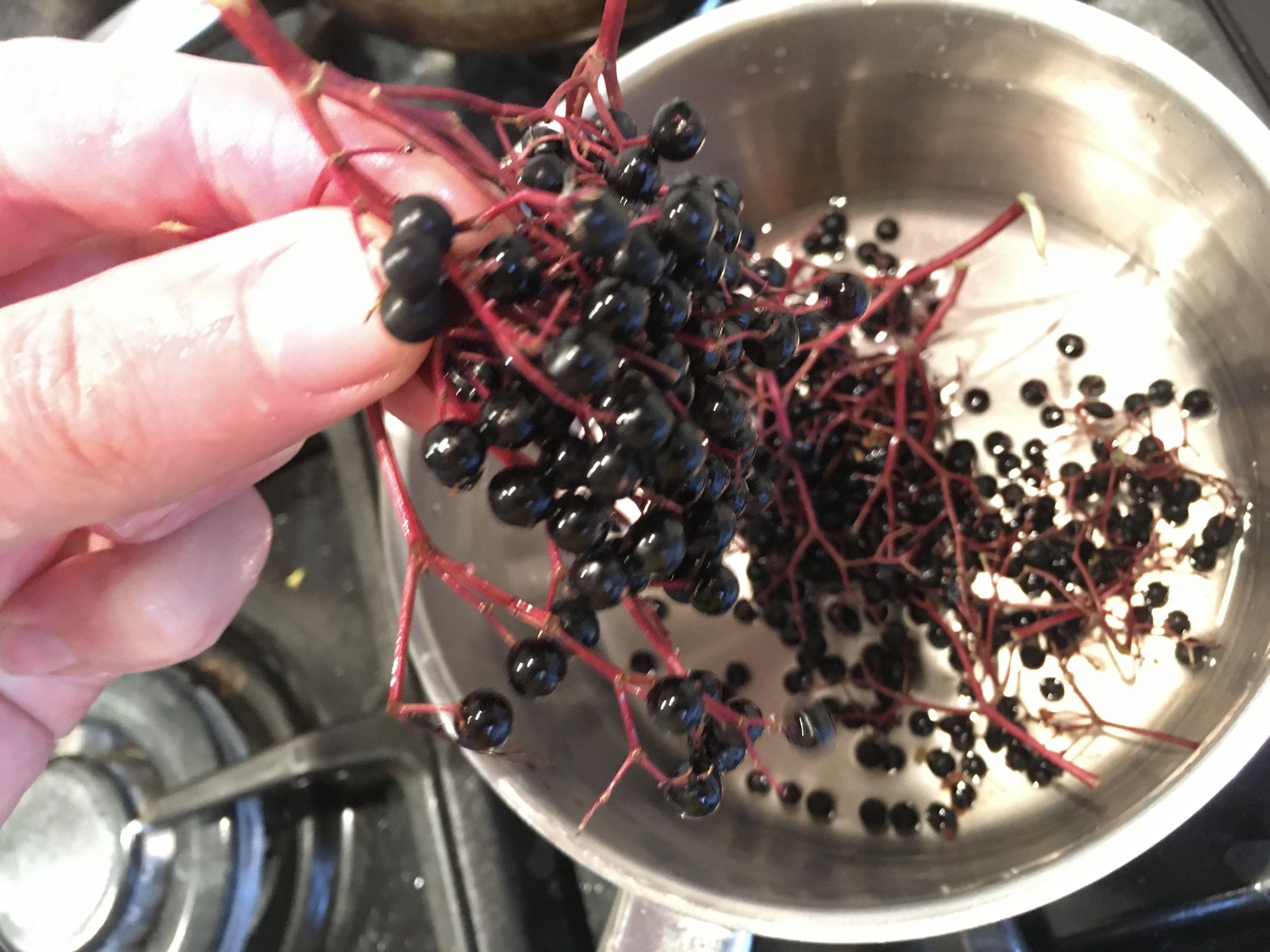 Home Made Ink From Nature: Perfect Purples : 18 Steps (with Pictures ...