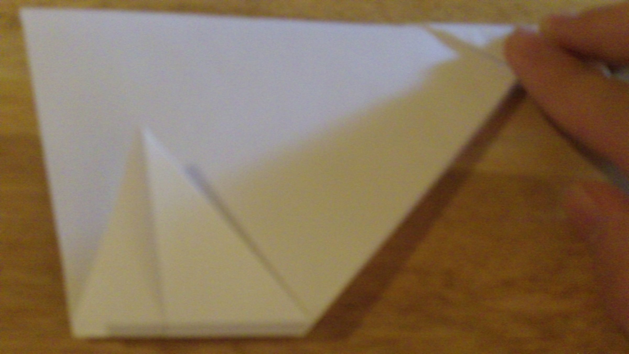 How to Make the Pelican Paper Airplane : 10 Steps - Instructables