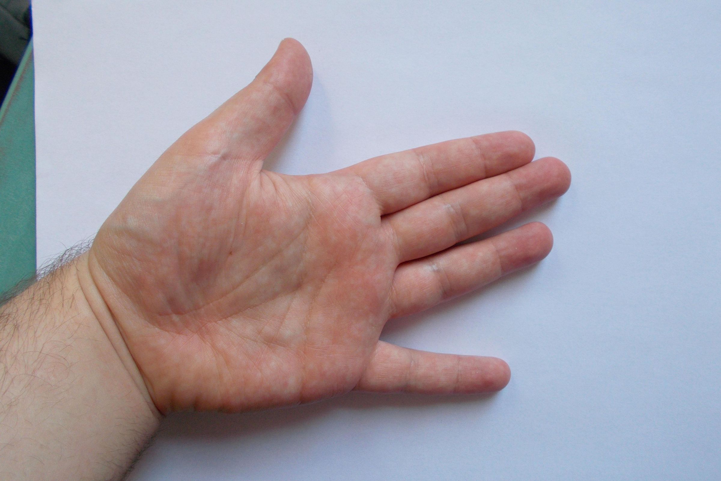 Lesson 1: Hand Drawn Dog : 3 Steps (with Pictures) - Instructables