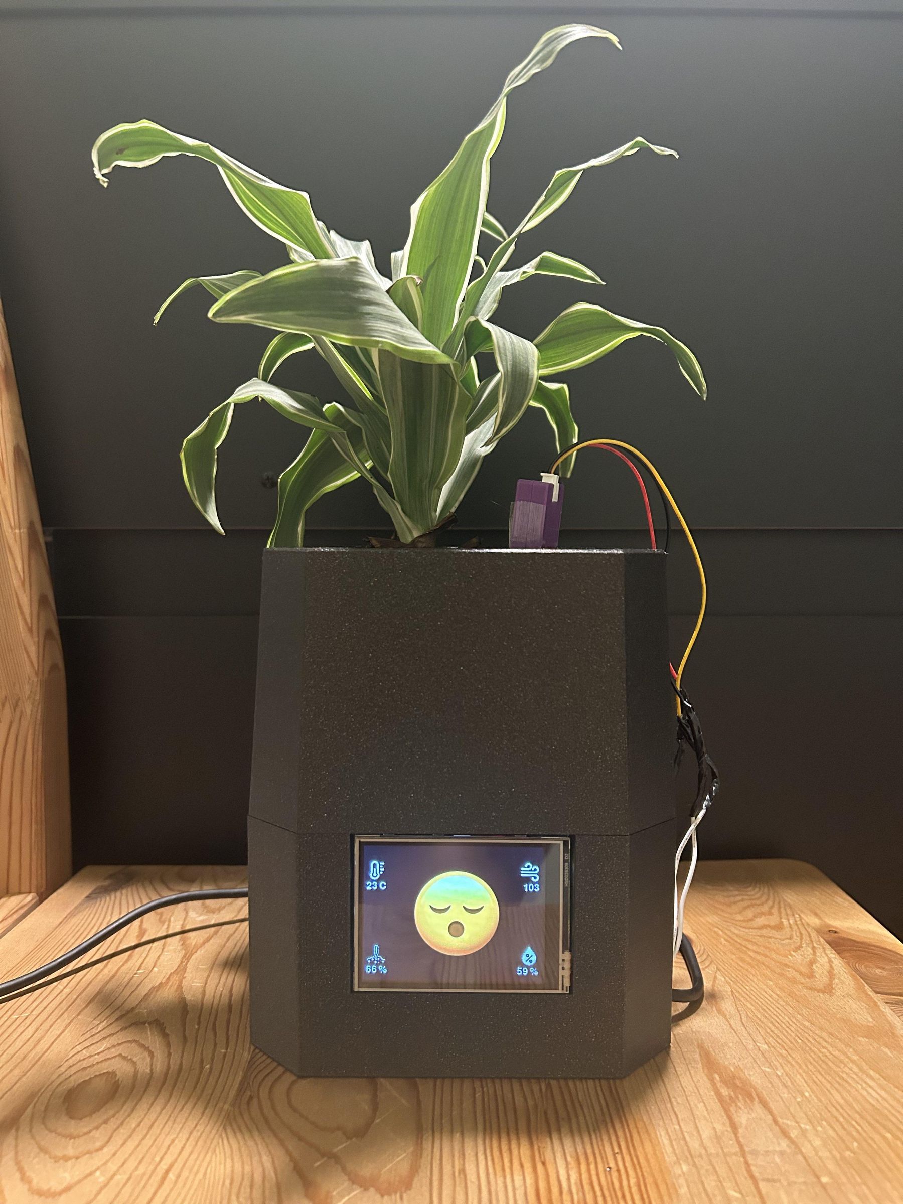 The Pet Pot : 8 Steps (with Pictures) - Instructables