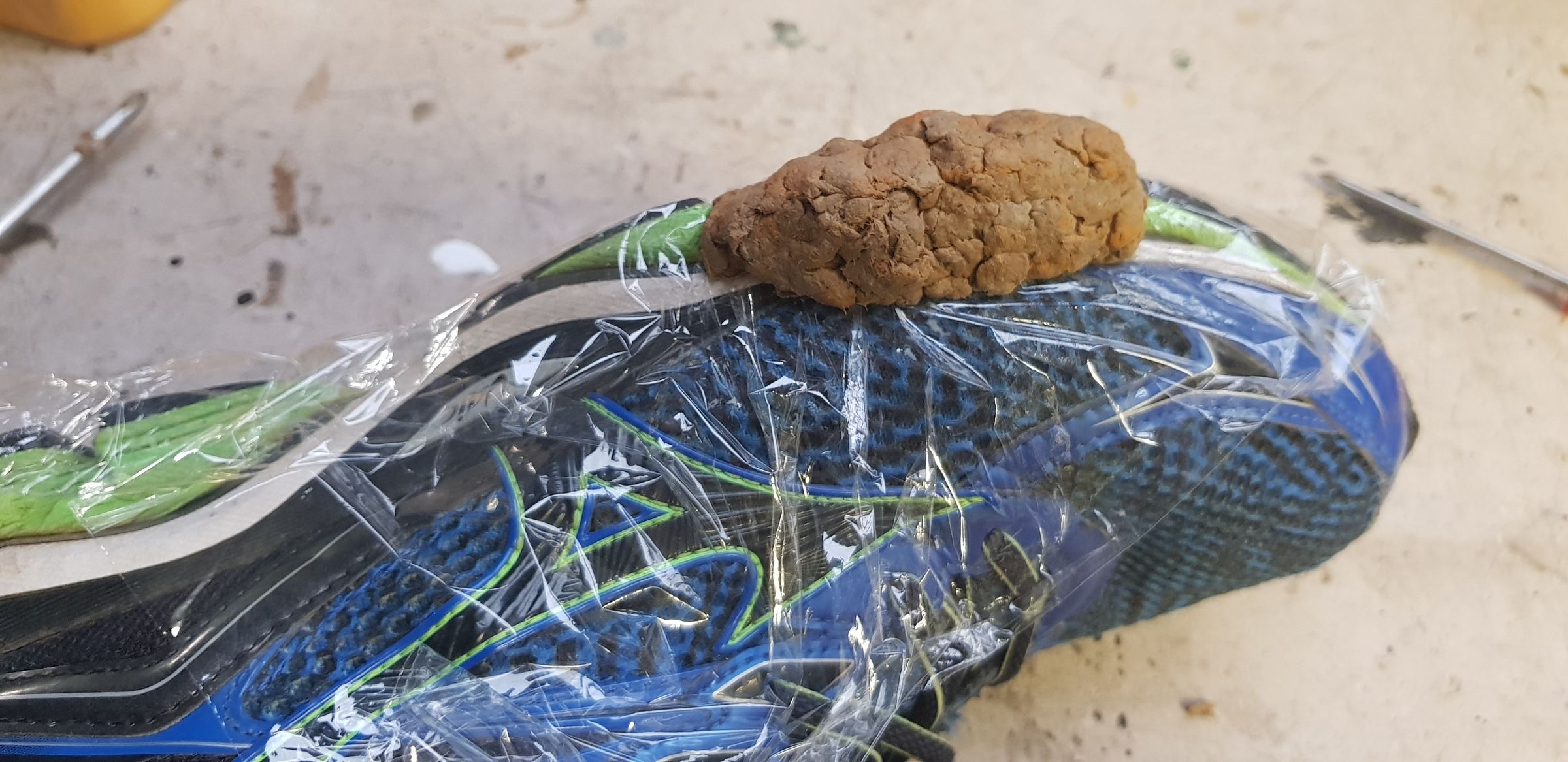 There's Poo on Your Shoe : 5 Steps (with Pictures) - Instructables