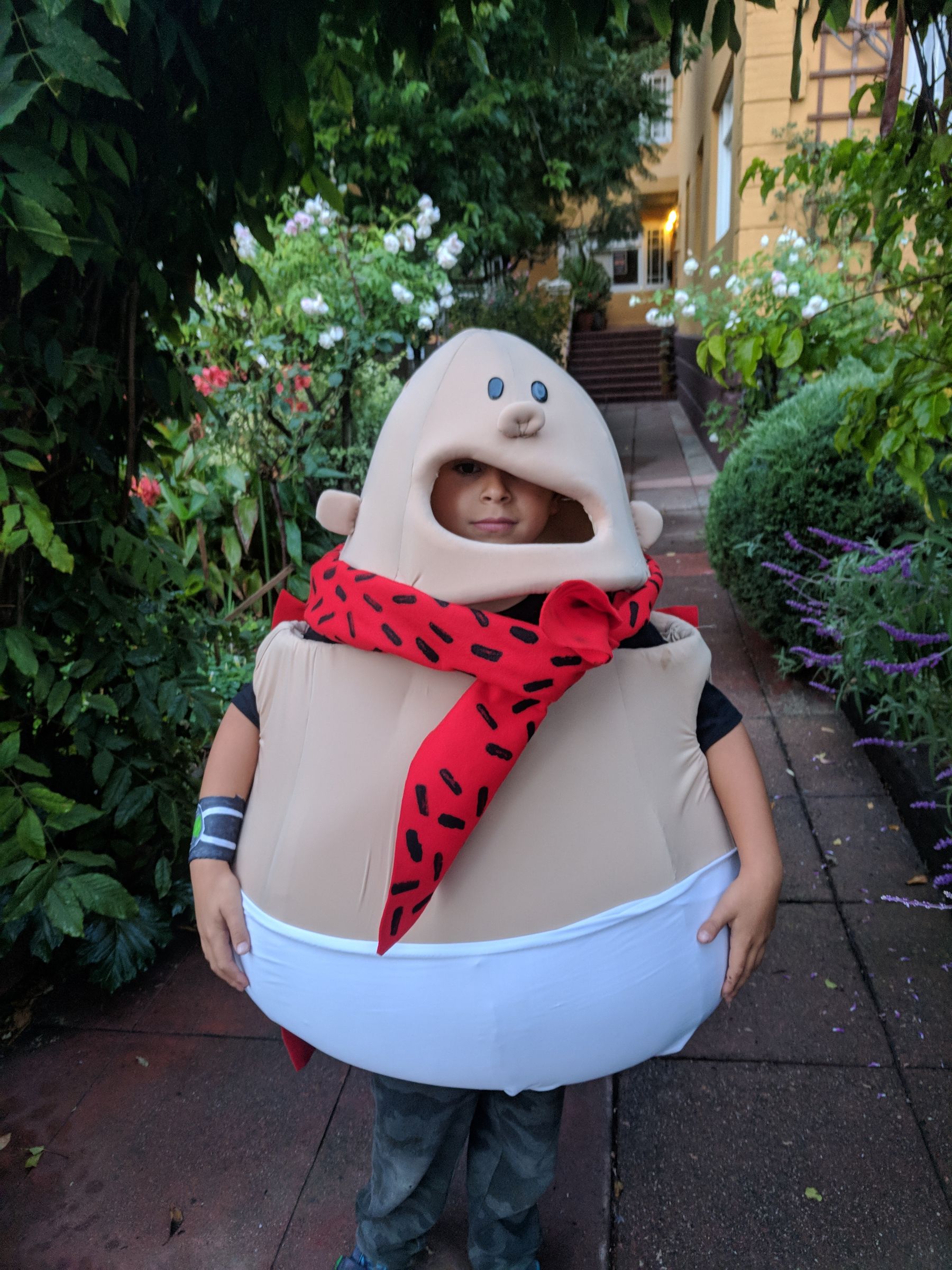 Captain Underpants : 6 Steps (with Pictures) - Instructables