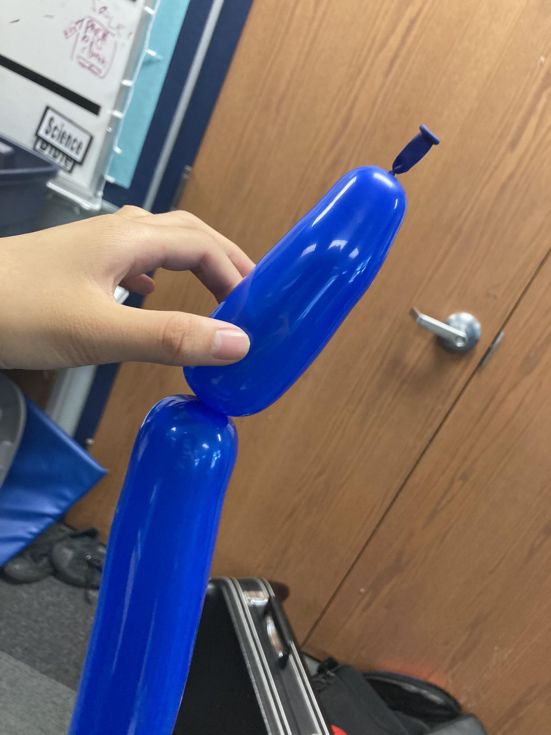 Balloon Dog Tutorial : 8 Steps - Instructables