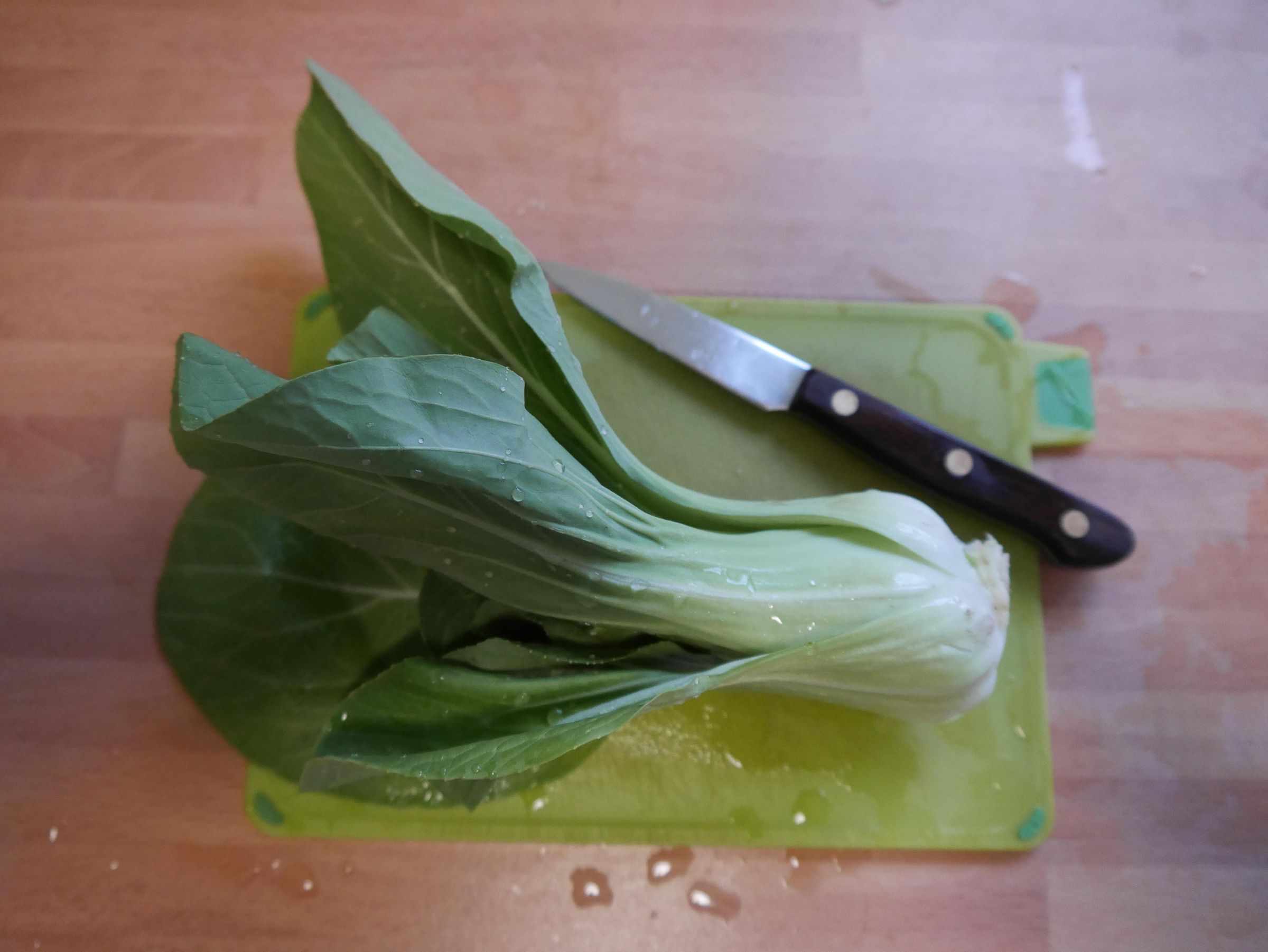 Mora Meat (Inspired by Genshin Impact) : 7 Steps - Instructables