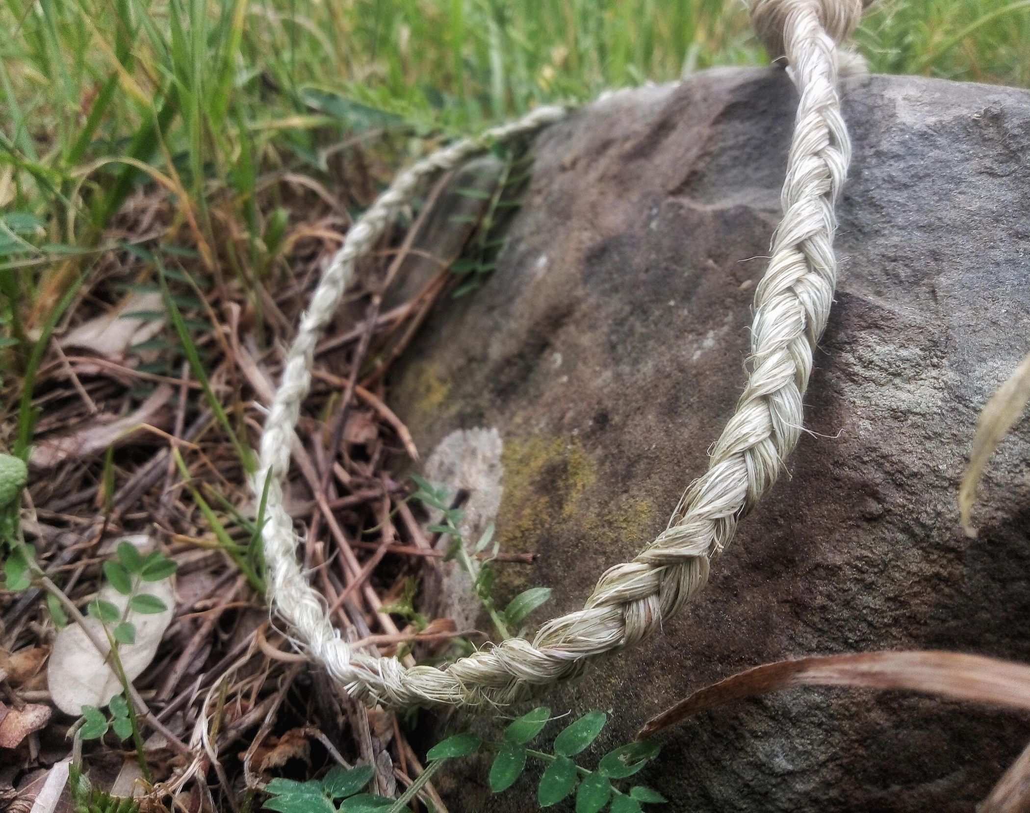 How to Make Rope With Natural Plant Fibers : 6 Steps (with Pictures ...