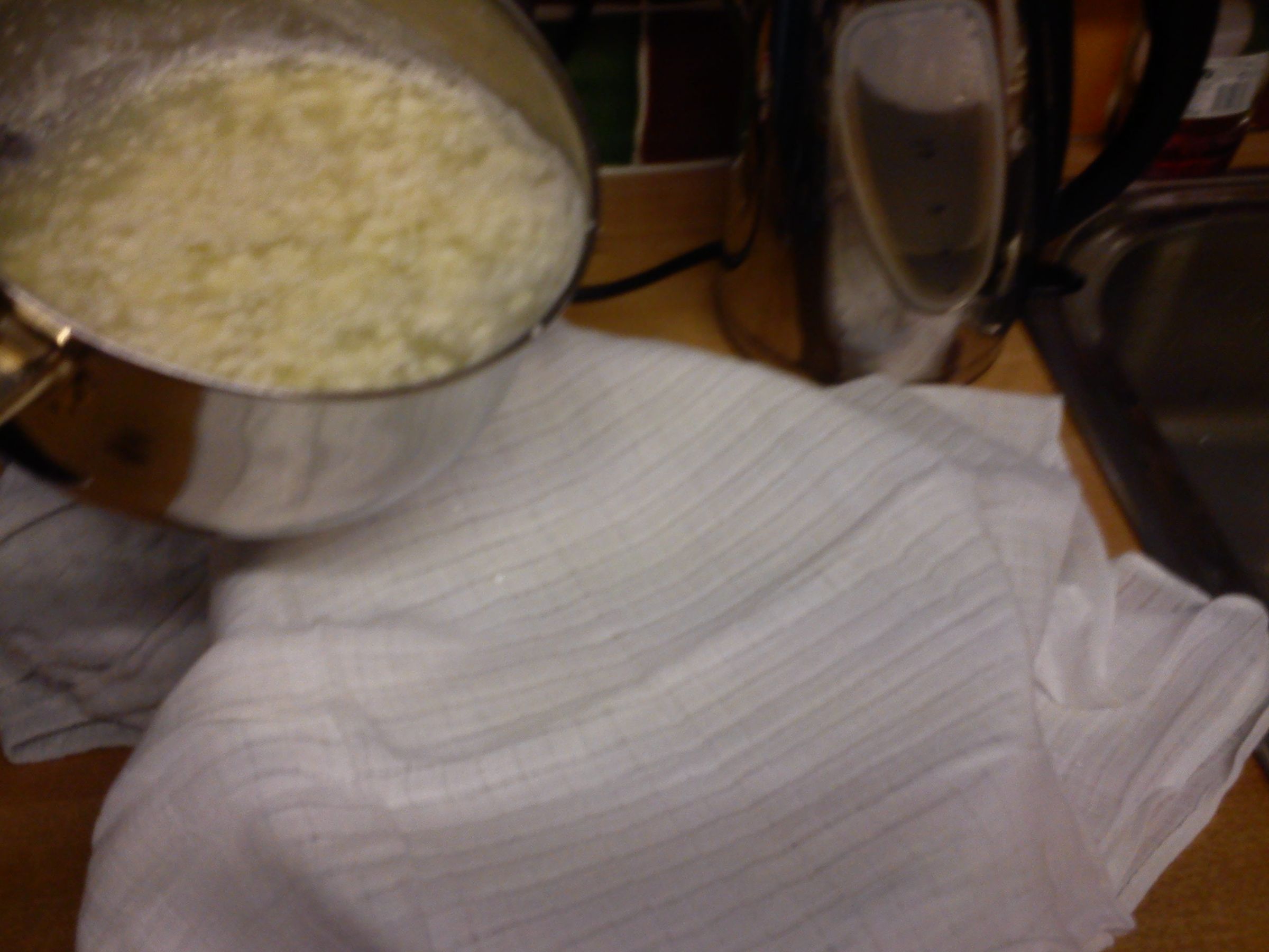 How to Make Great Homemade Mozzarella : 13 Steps (with Pictures ...