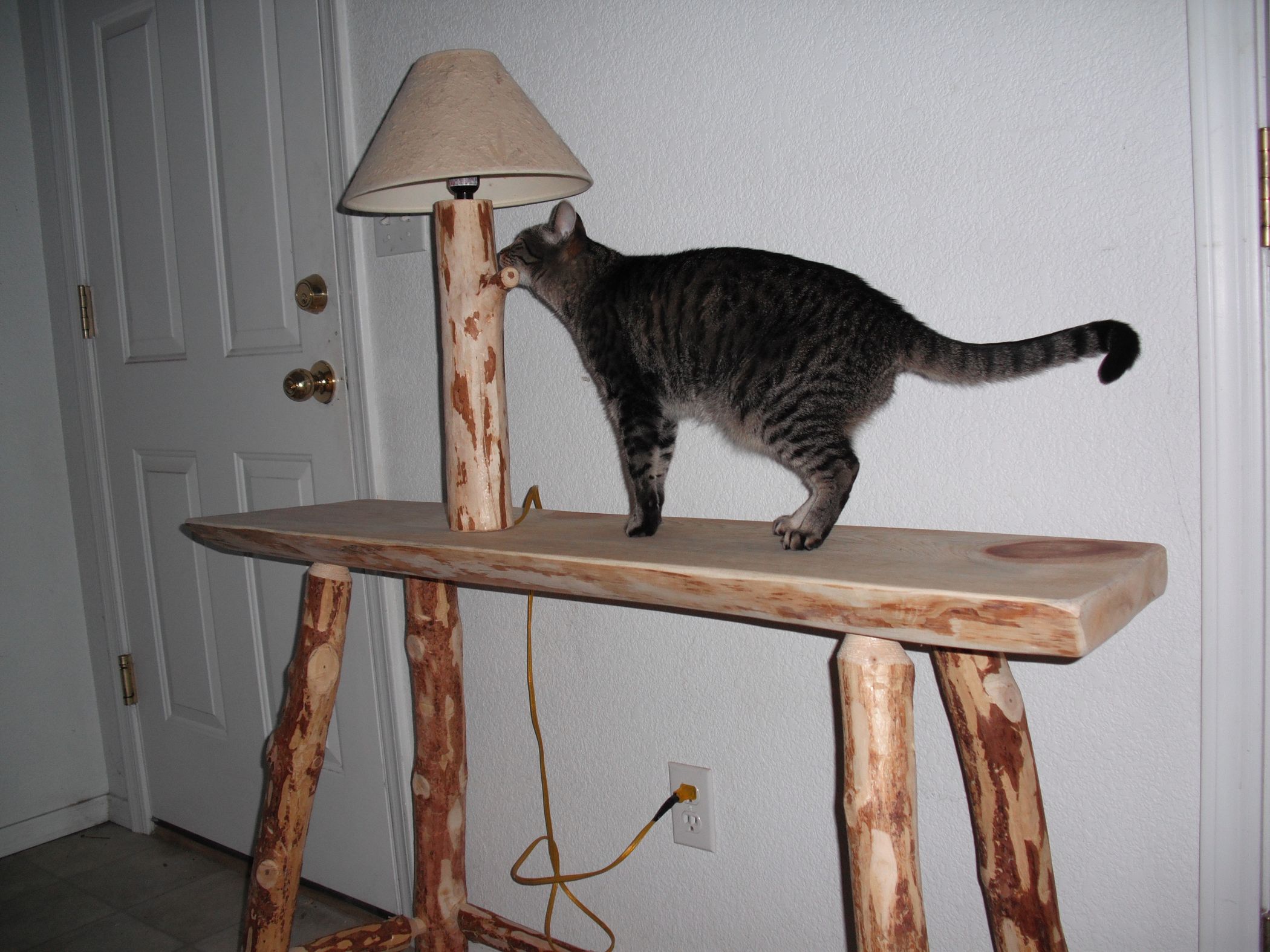 How to Build a Custom Pine Log Table : 7 Steps - Instructables