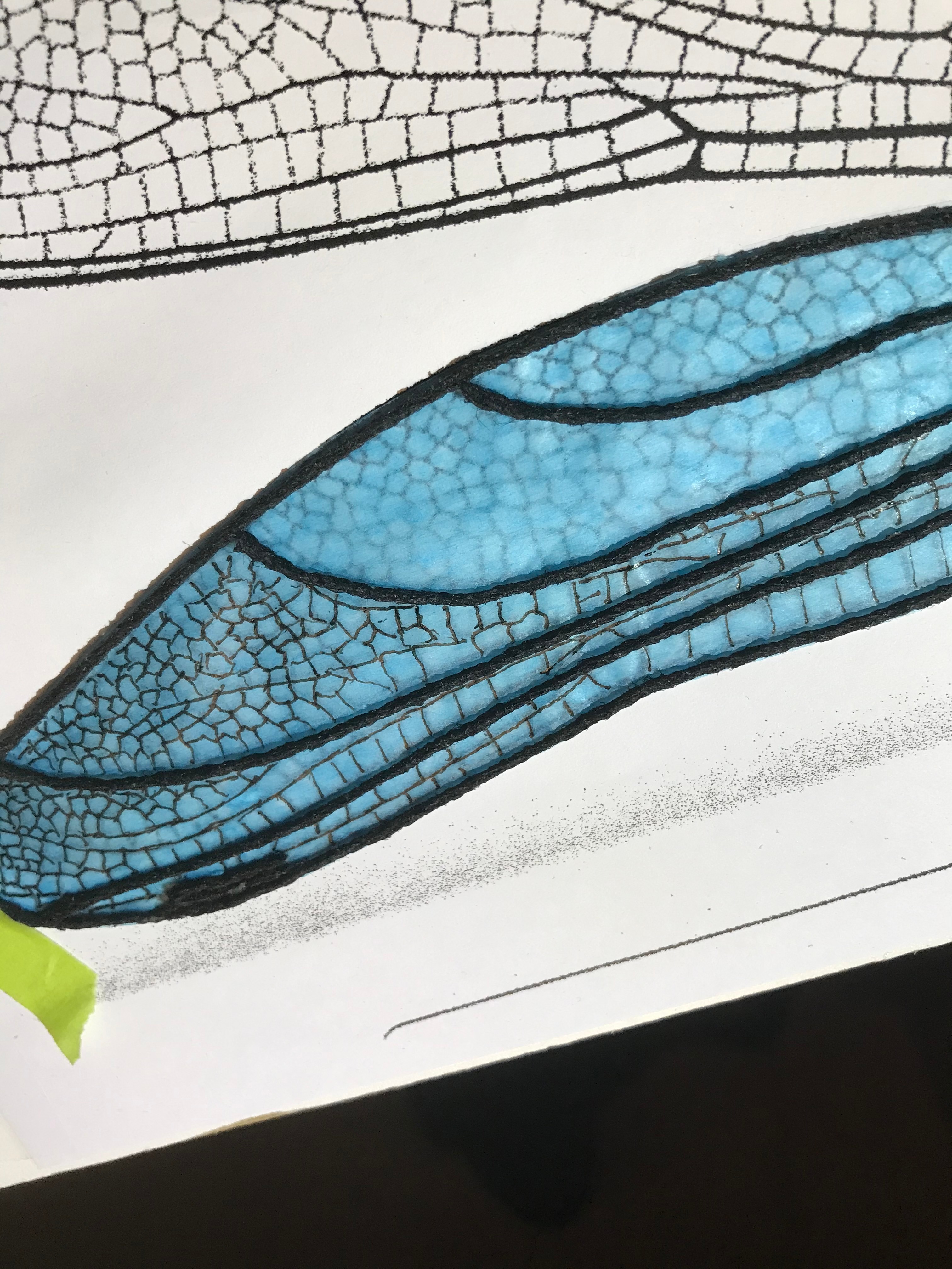 Paper Animatronic Dragonfly : 11 Steps (with Pictures) - Instructables