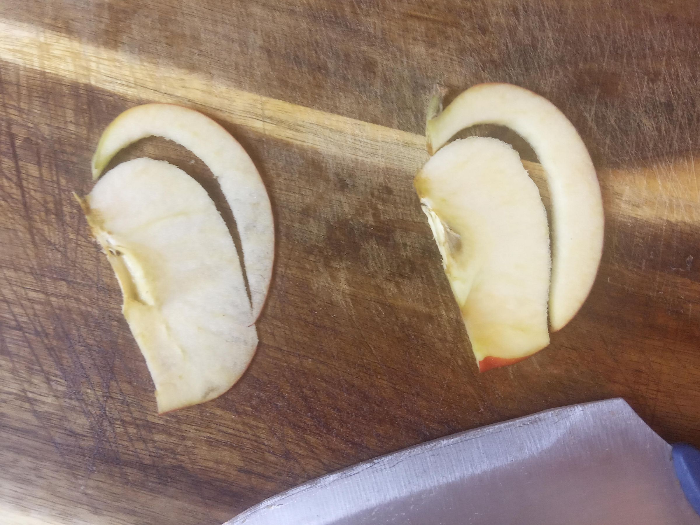 Edible Apple Swan : 7 Steps (with Pictures) - Instructables