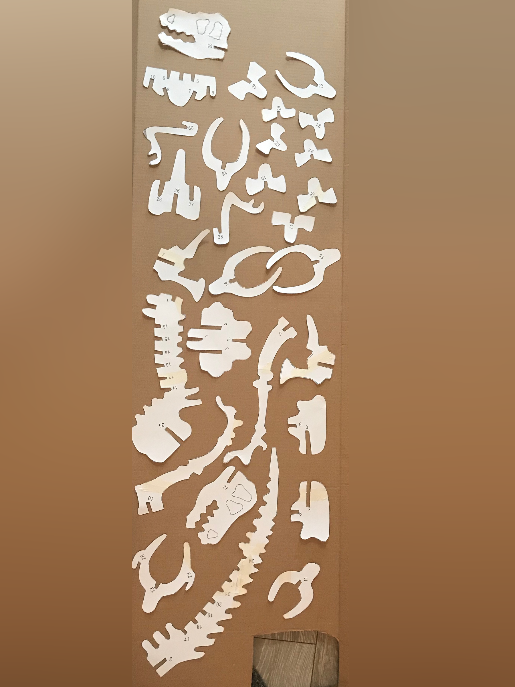 Large Cardboard Dinosaur Skeleton : 5 Steps - Instructables