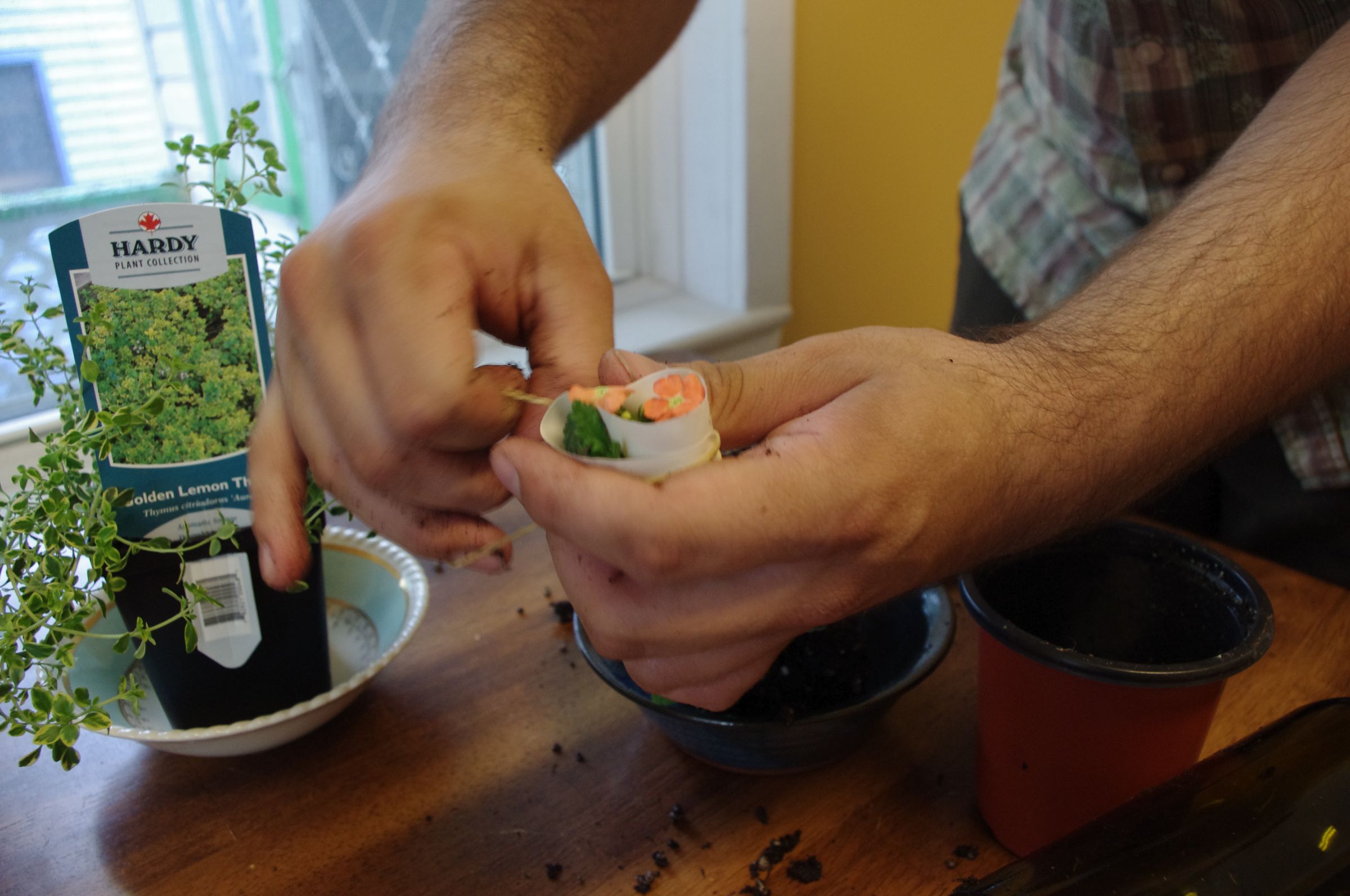 Inverted Wine Bottle Planter : 7 Steps (with Pictures) - Instructables