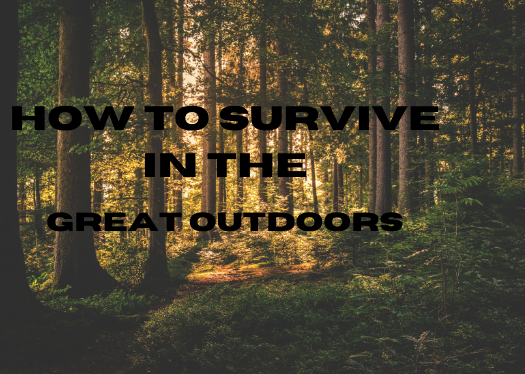 How to Survive in the Great Outdoors : 6 Steps - Instructables