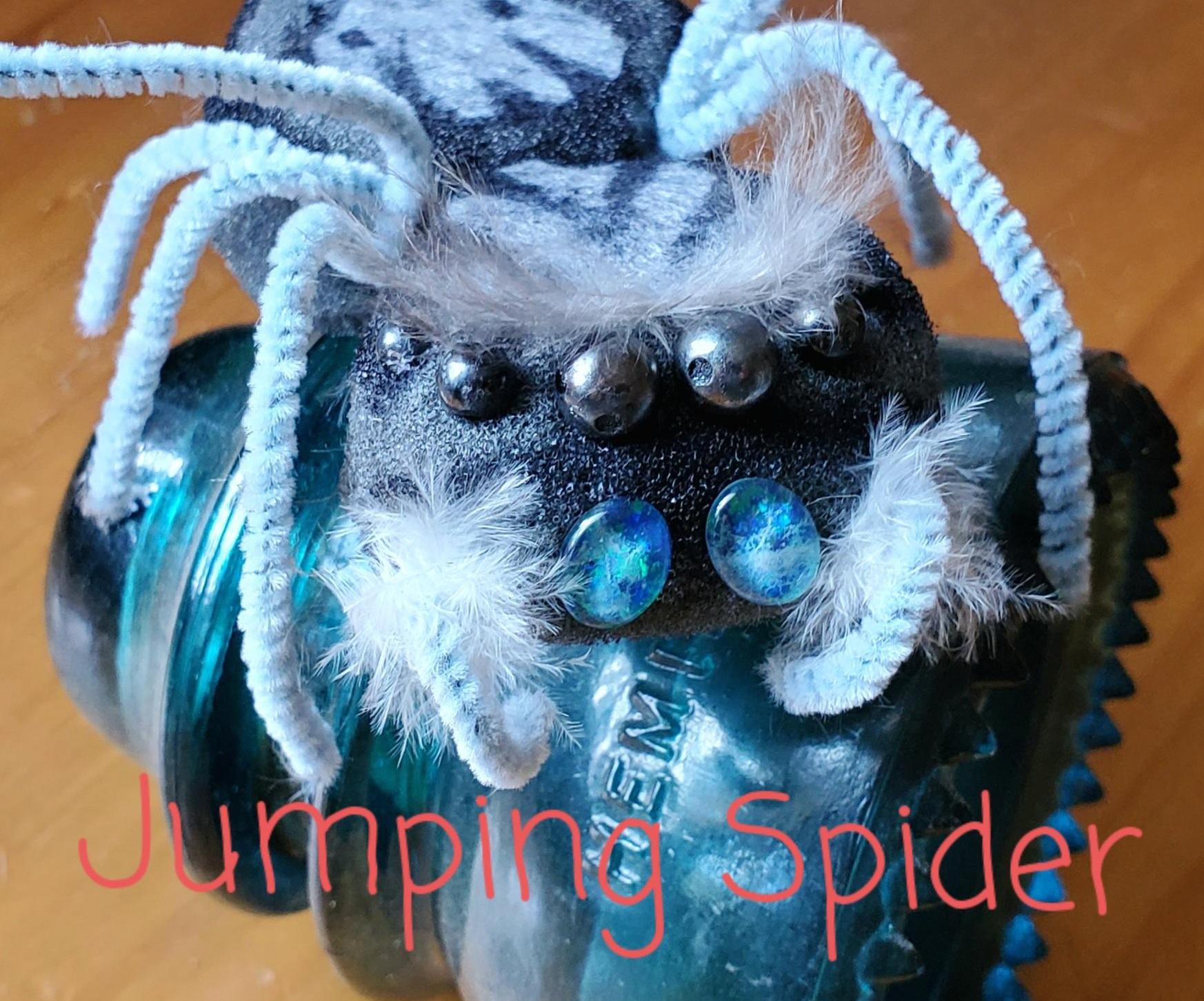 Jumping Spider : 9 Steps (with Pictures) - Instructables