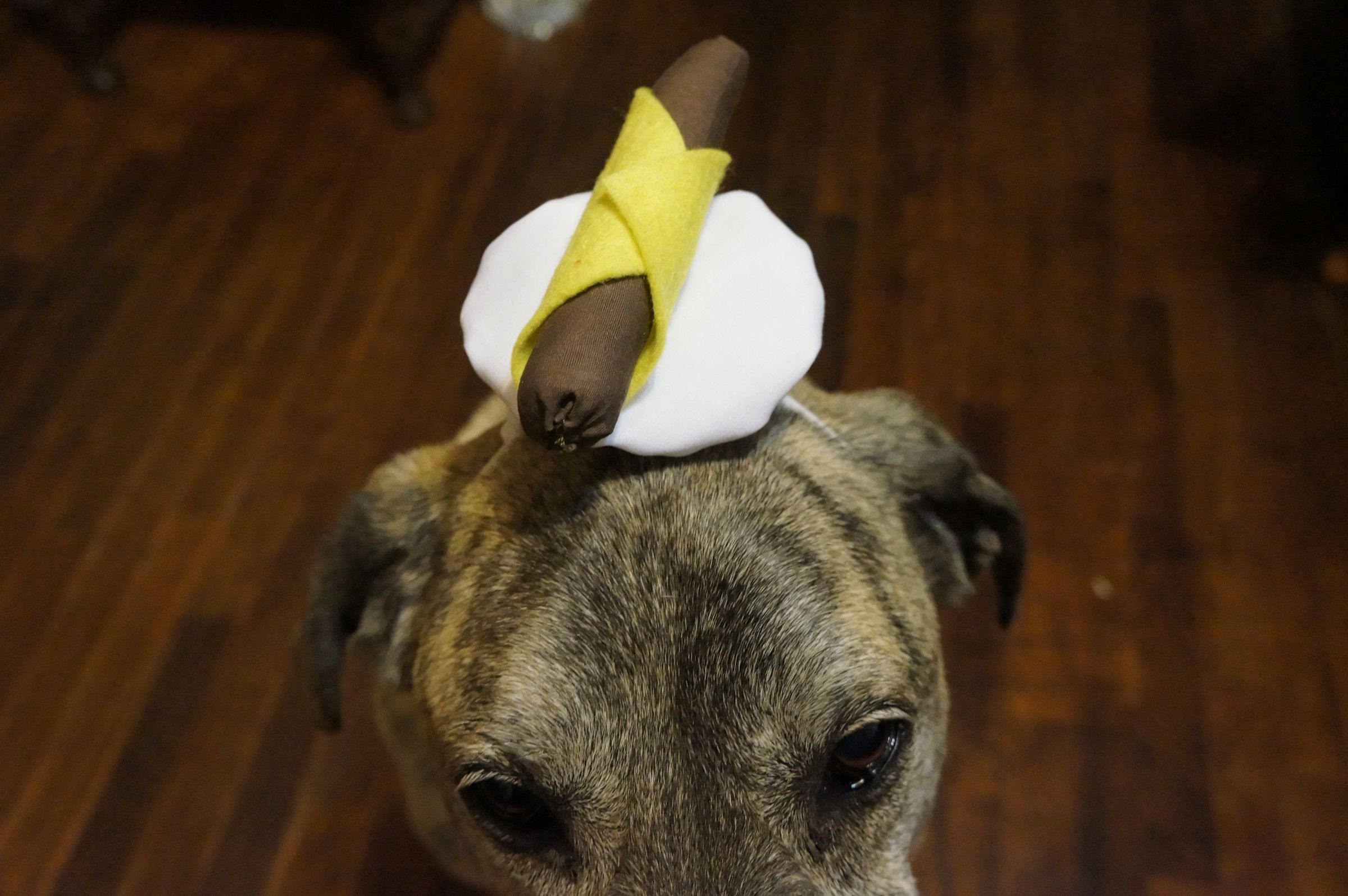 How to Make a Chef Hat Toque Pattern for Large or Small Pets : 12 Steps ...