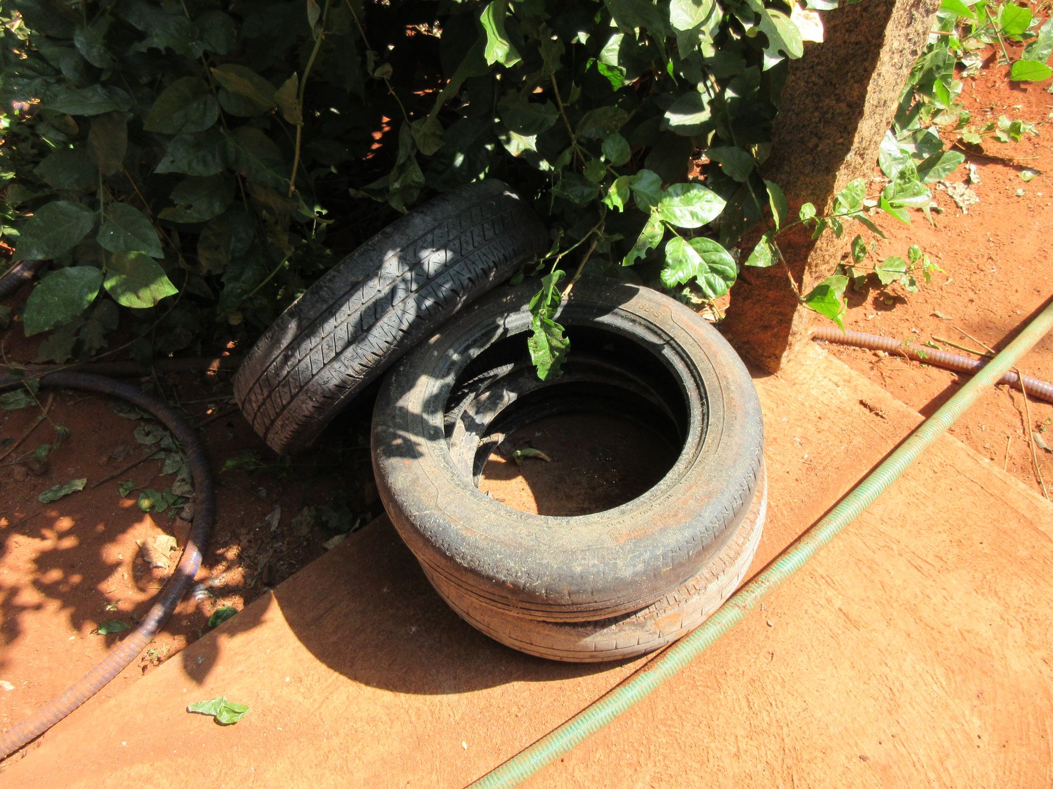 Use Old Tyres to Grow Leafy Vegetables : 7 Steps - Instructables