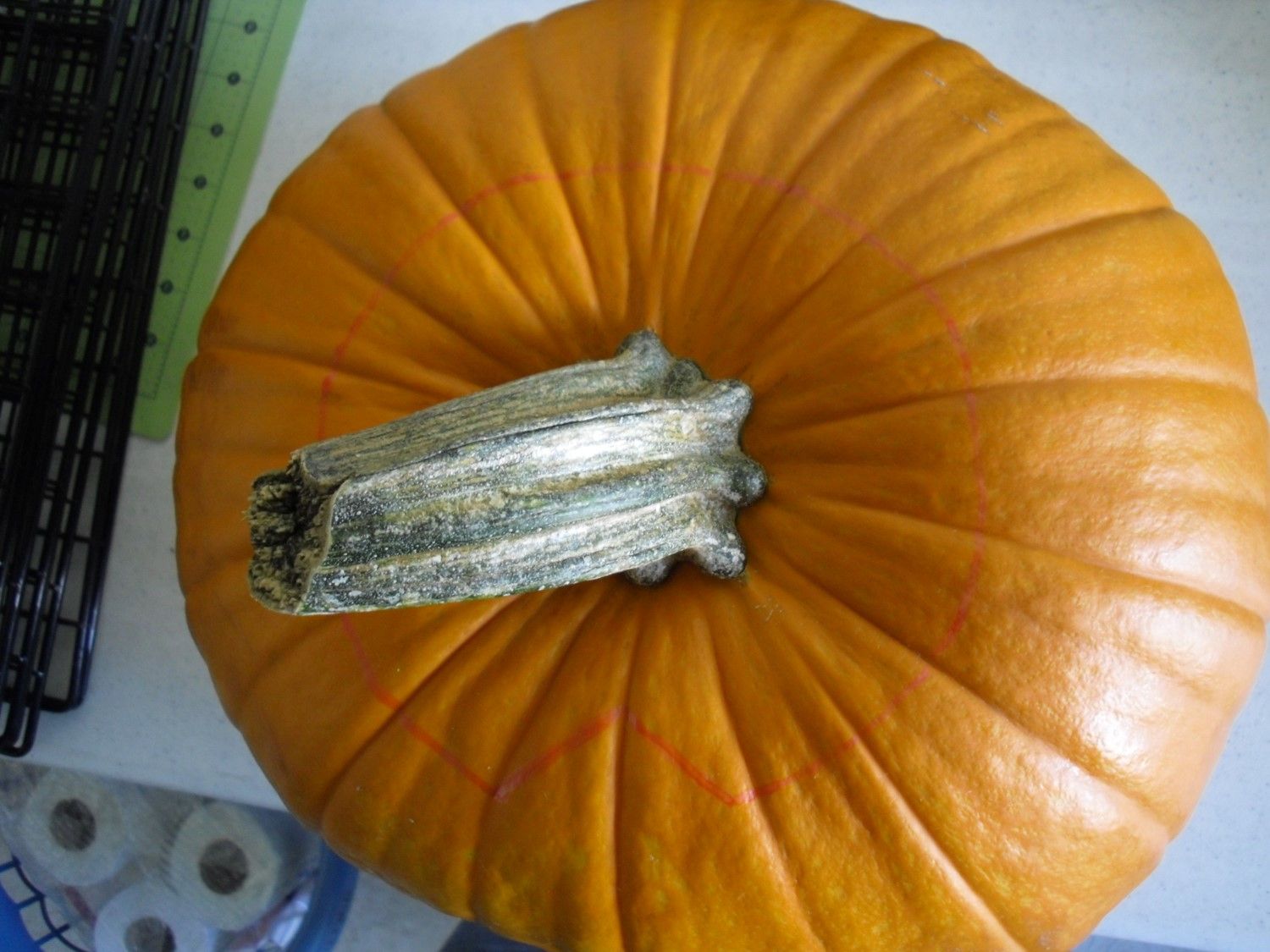 DIY Pumpkin Carving Guide : 8 Steps (with Pictures) - Instructables