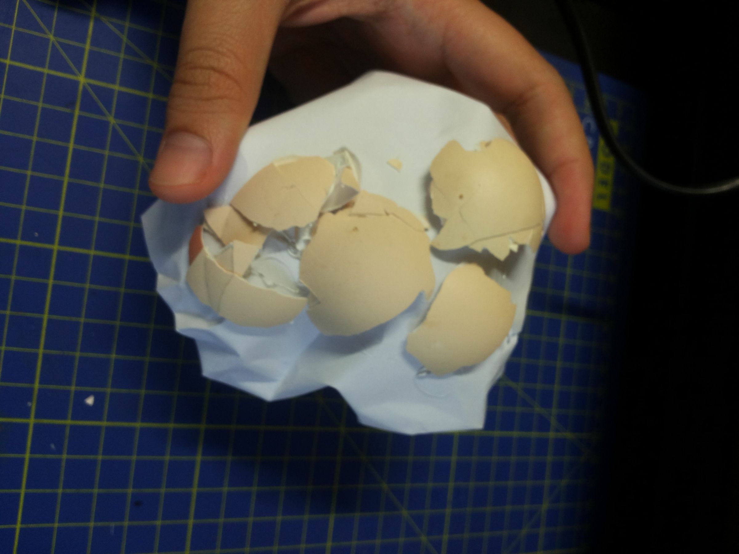 Make an Eggshell Sculpture ! : 6 Steps (with Pictures) - Instructables