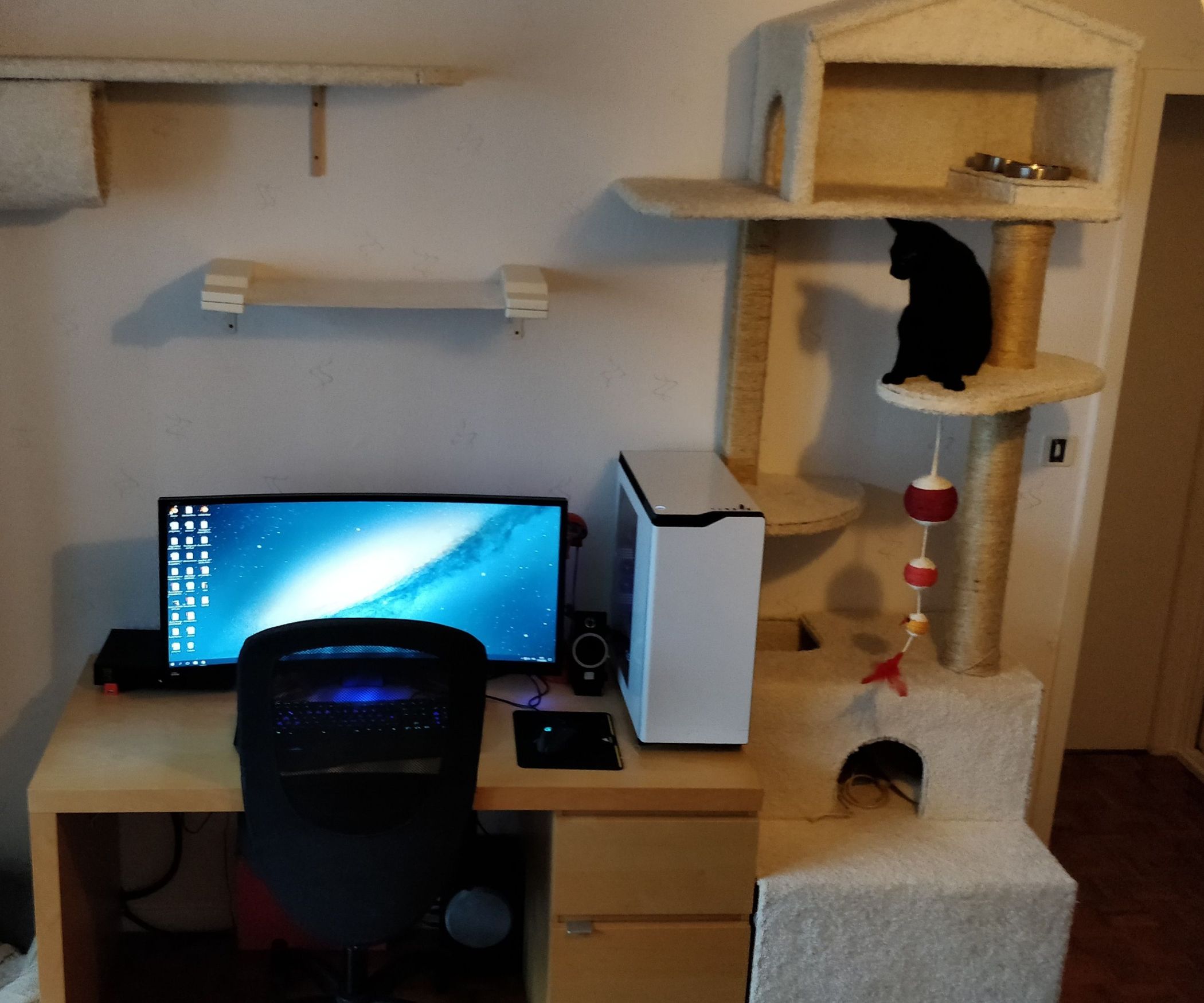 Cat Tree : 9 Steps - Instructables