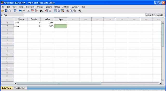 Enter Data: SPSS (1.4) - Instructables