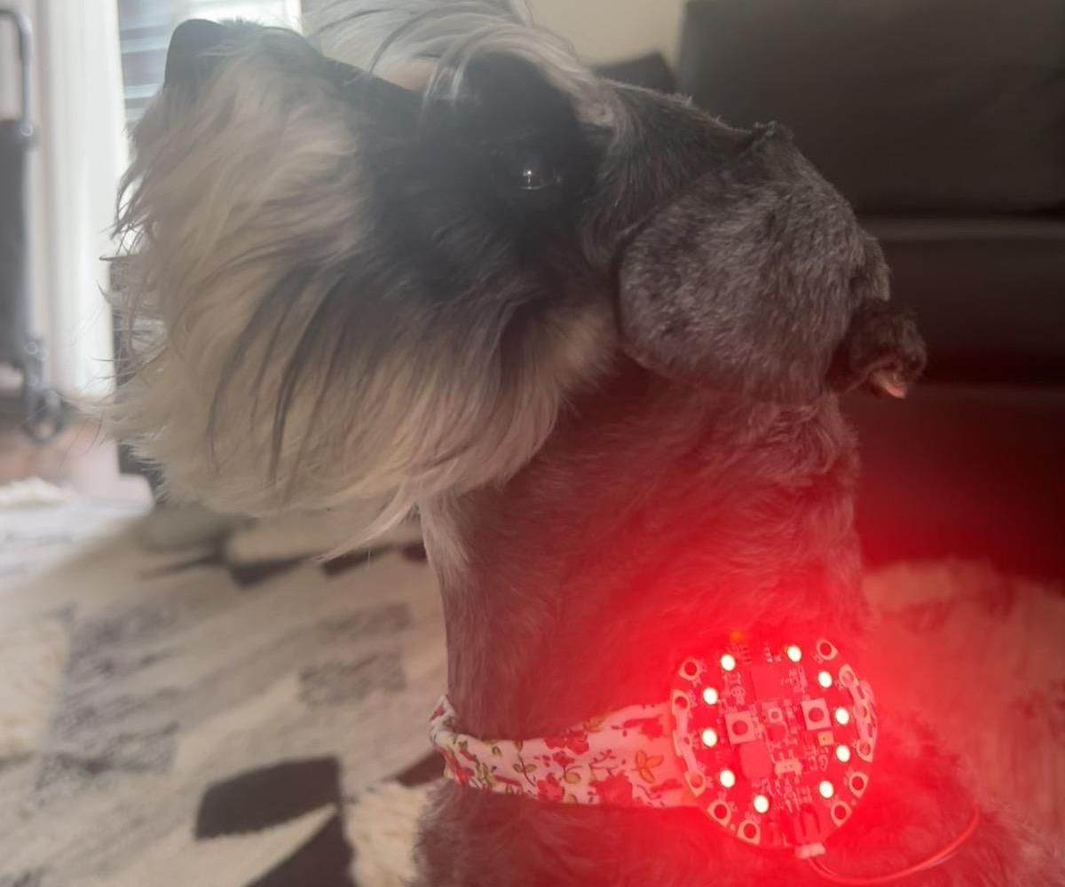 Wearable Light-Up Collar : 6 Steps - Instructables