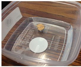 Homemade Compass : 7 Steps - Instructables