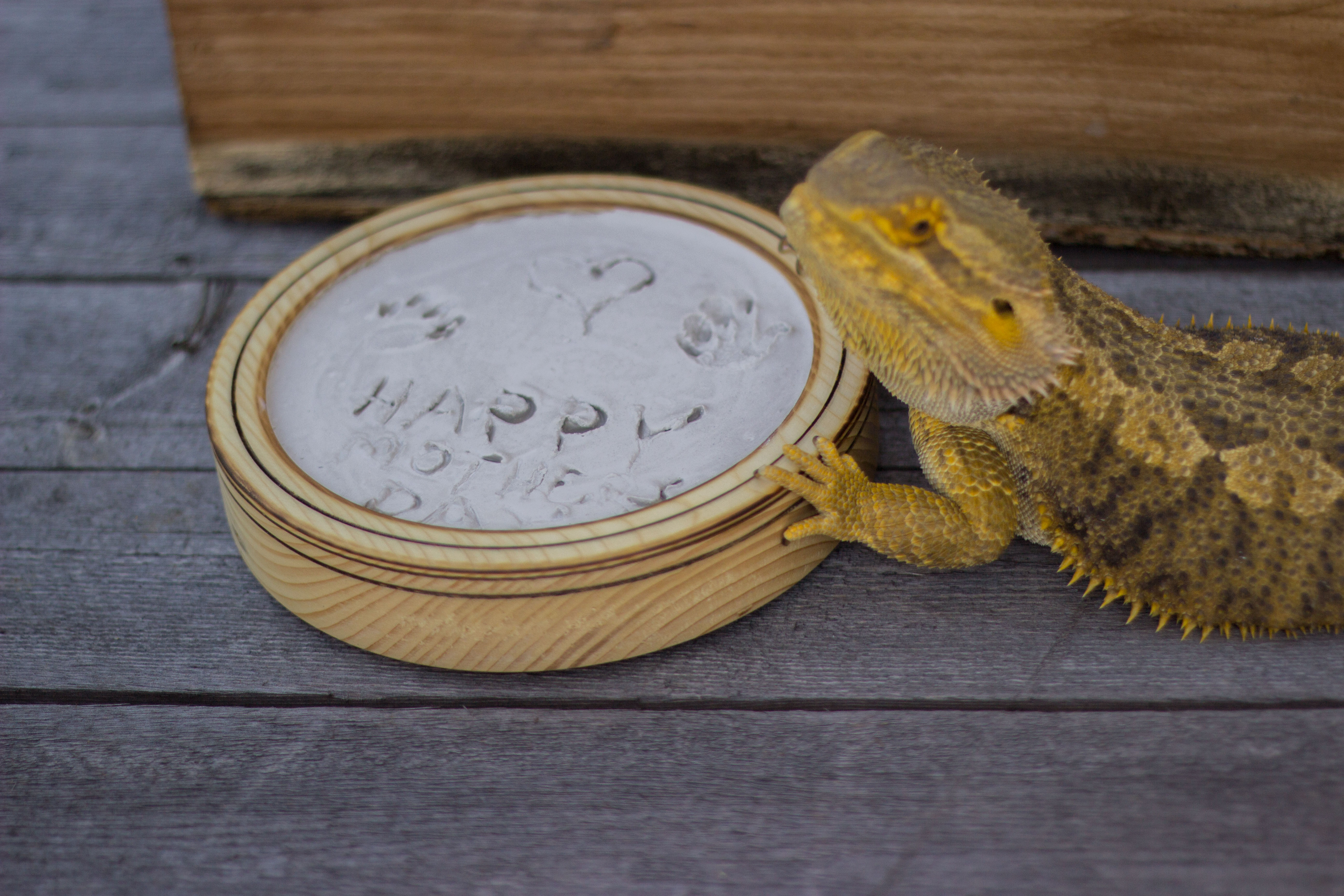 Mother's Day Handprints in a Solid Wooden Frame : 6 Steps (with ...