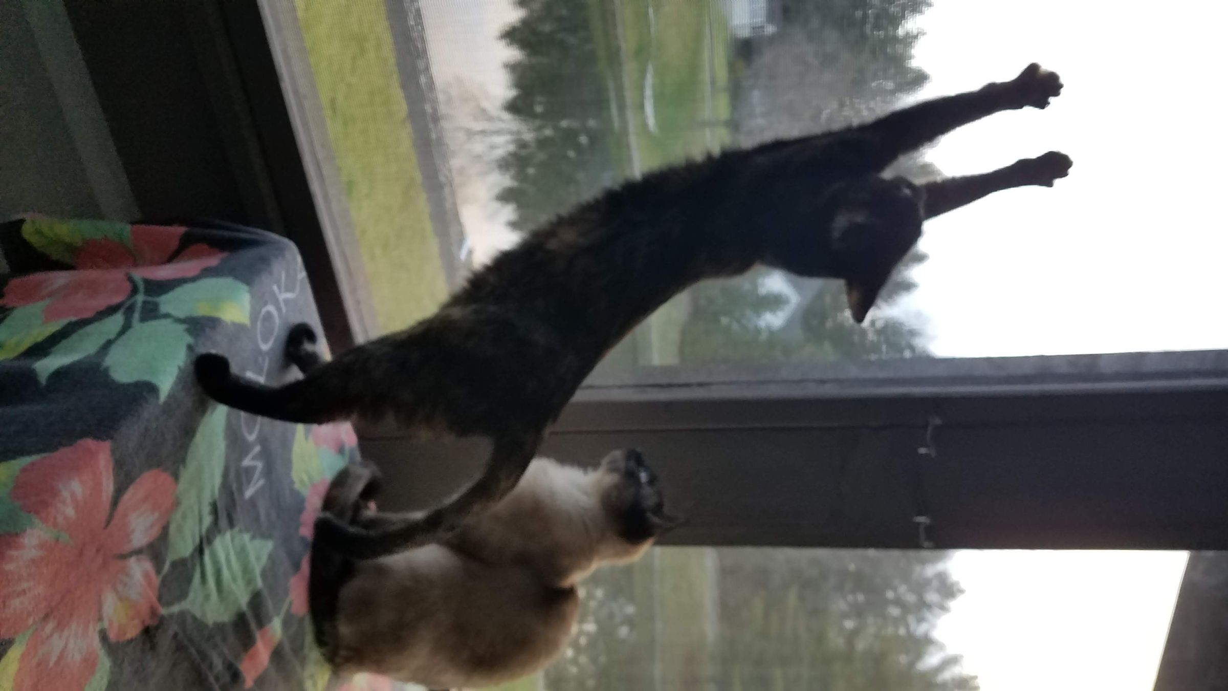 Porch Plexiglass Storm Windows : 5 Steps (with Pictures) - Instructables