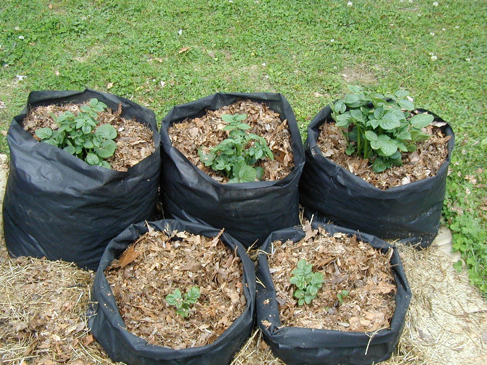 Tater Totes: Potato Grow Bags : 7 Steps (with Pictures) - Instructables