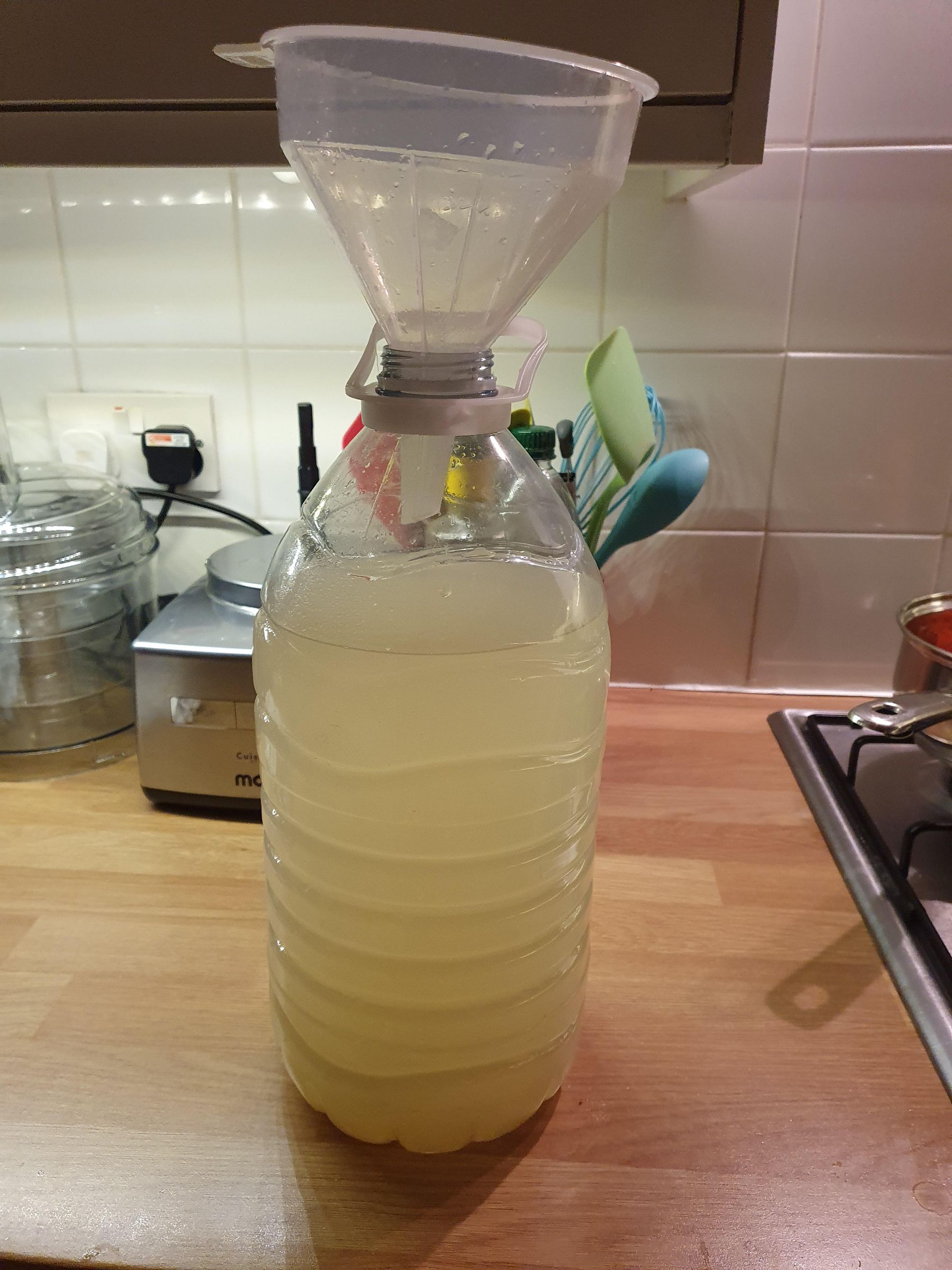 Lacto Fermented Probiotic Ginger Beer : 4 Steps - Instructables