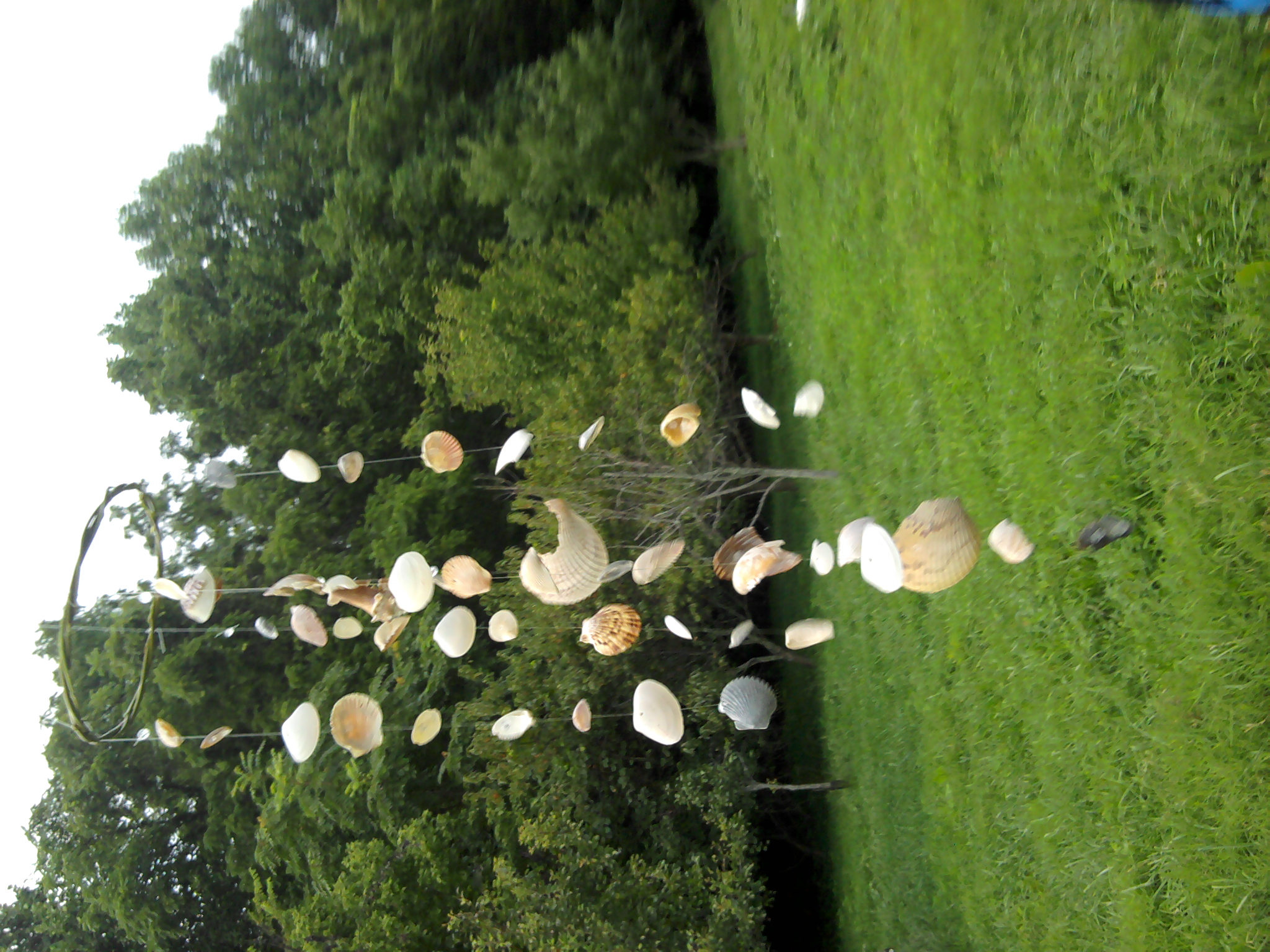 Seashell Windchime : 5 Steps - Instructables