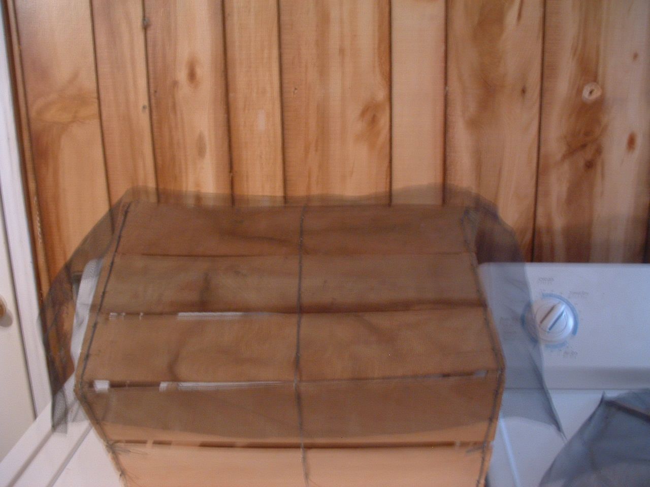 How to Make a Cricket Trap : 6 Steps - Instructables