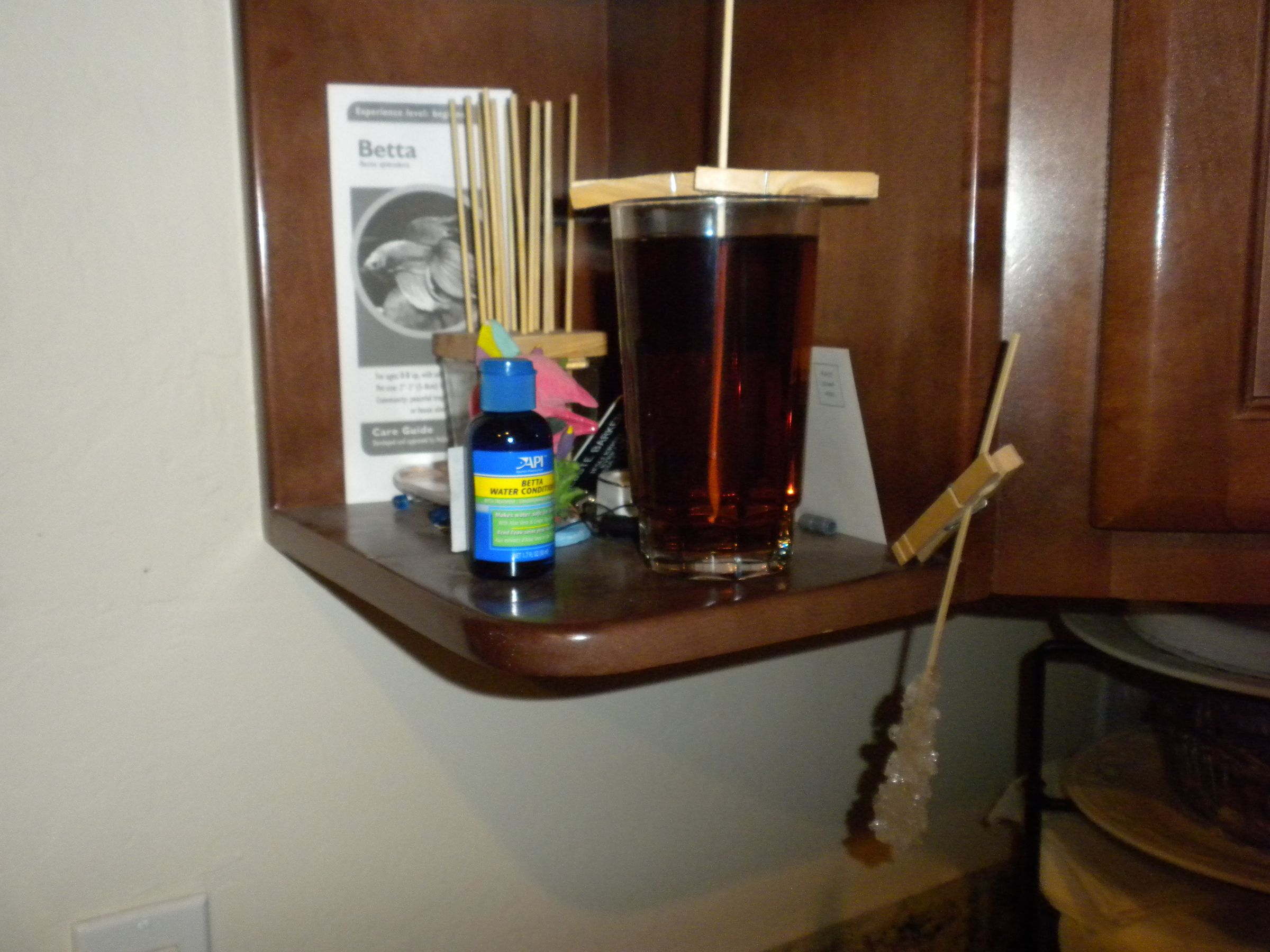 Grow Your Own Rock Candy : 5 Steps (with Pictures) - Instructables