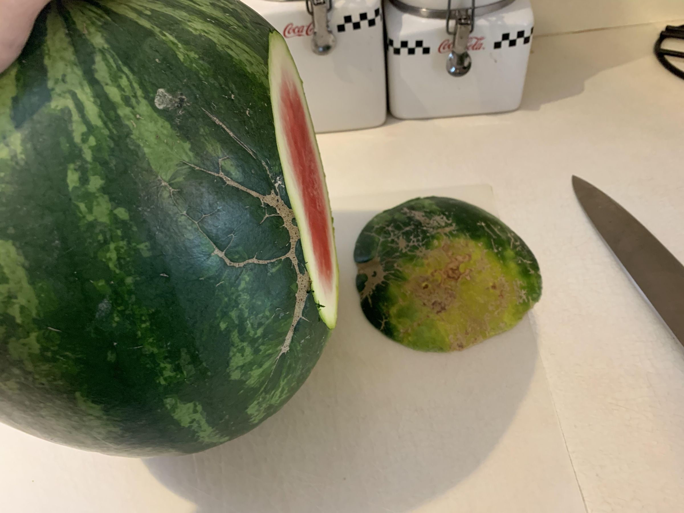 TMNT Watermelon Turtle : 5 Steps (with Pictures) - Instructables