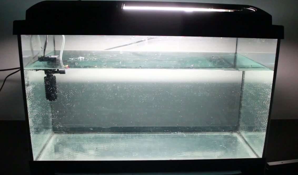 Robotic Fish Tank : 4 Steps - Instructables