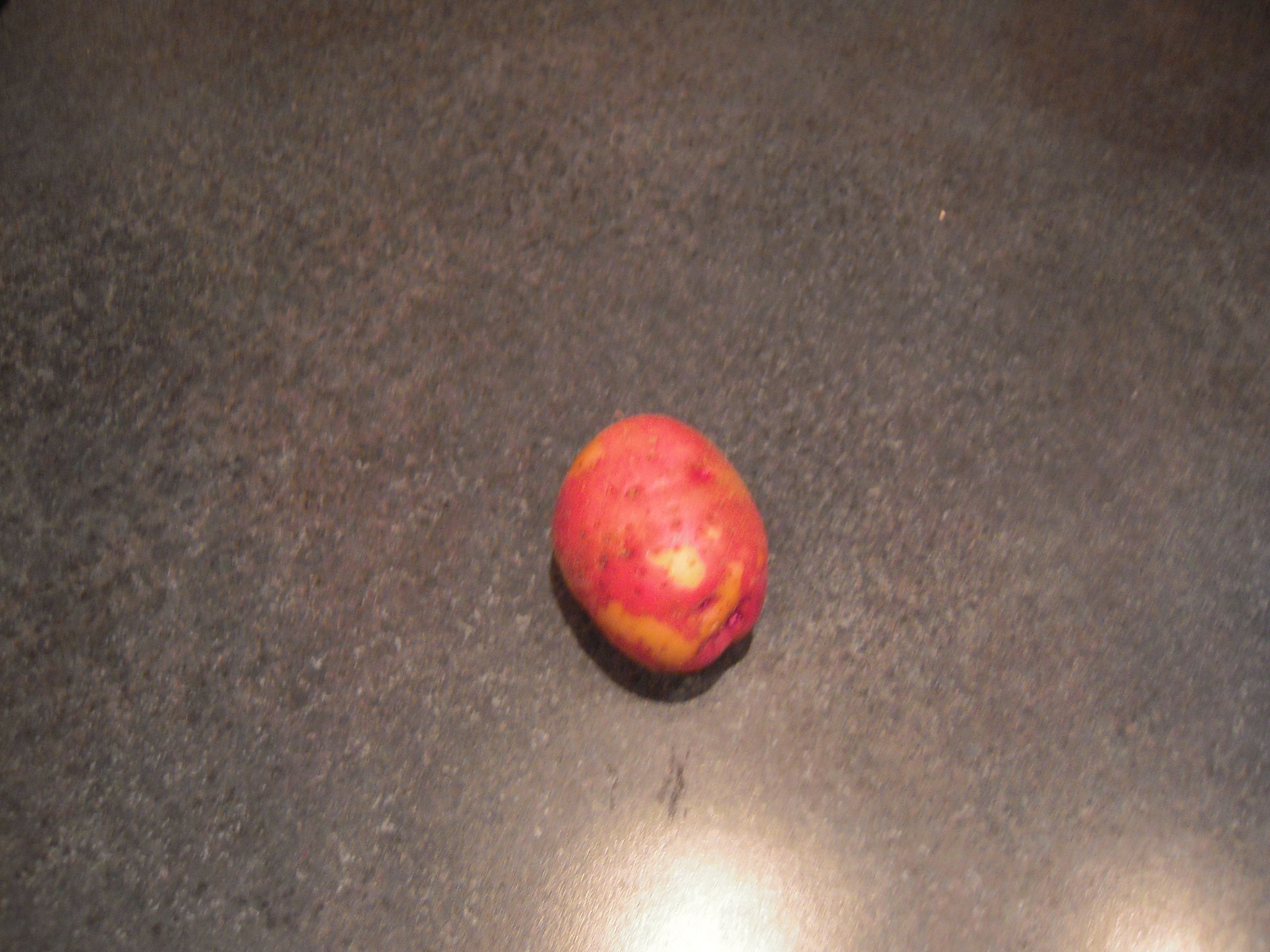 Potato on a Stick : 4 Steps (with Pictures) - Instructables