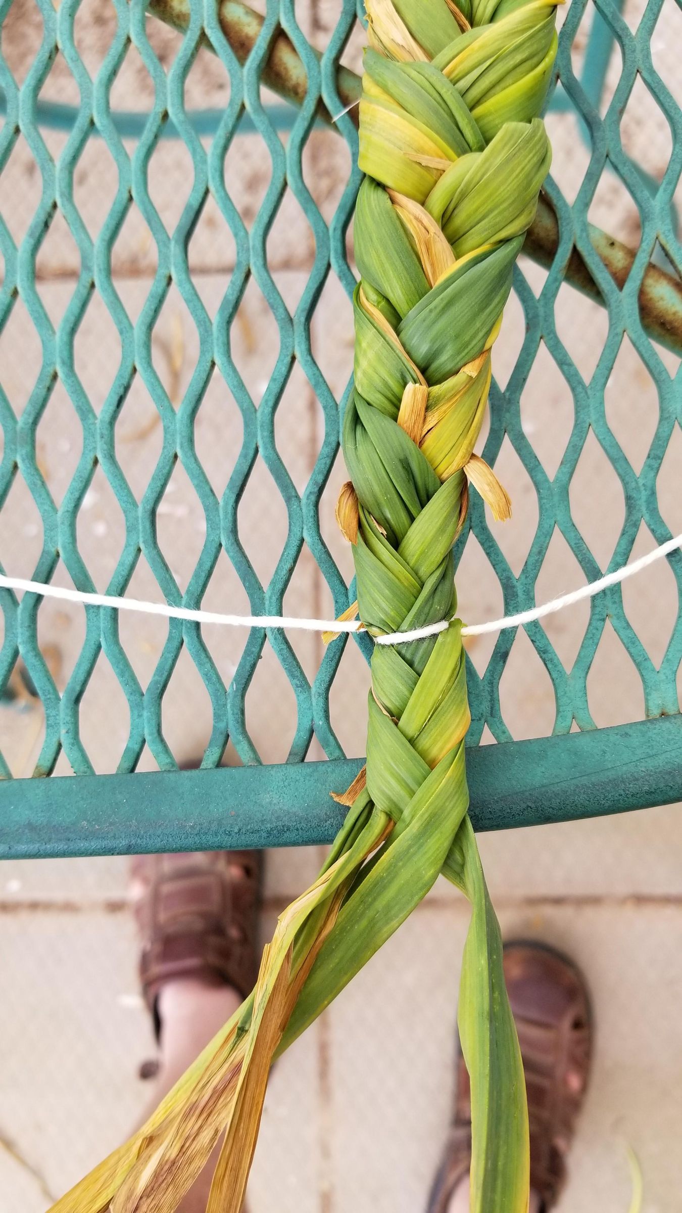 Garlic Gardening : 49 Steps (with Pictures) - Instructables