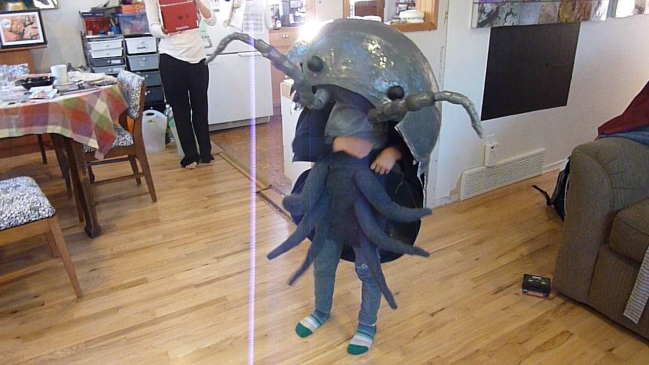 Amazing Roly Poly Costume : 6 Steps (with Pictures) - Instructables