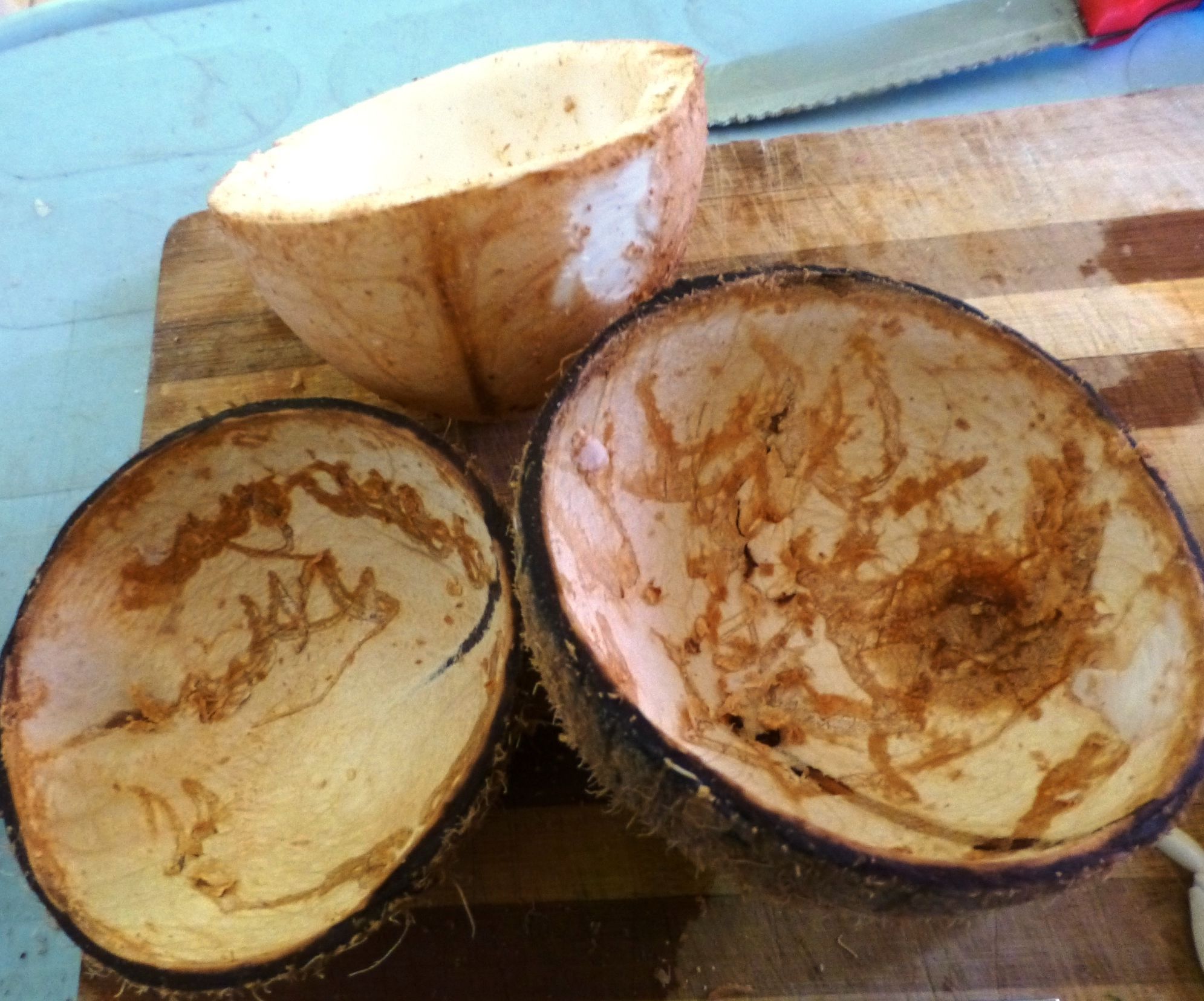 How to Perfectly Cut Open a Coconut Shell to Be Used in Other Craft ...