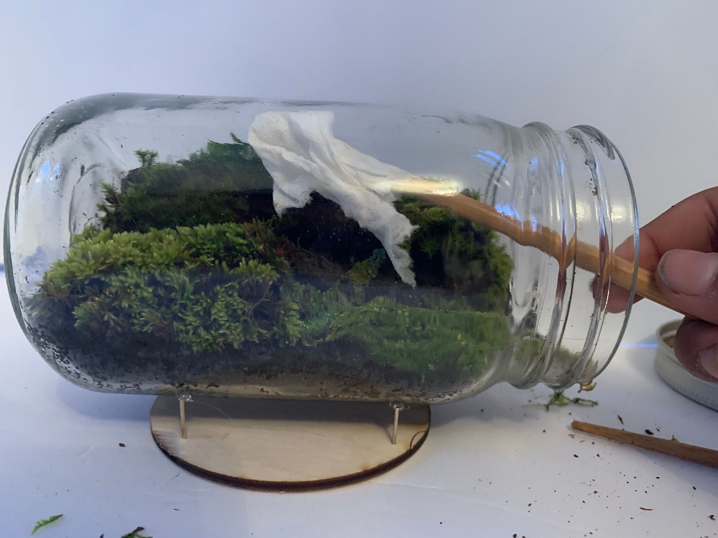 How to Build a Mason Jar Terrarium : 7 Steps - Instructables