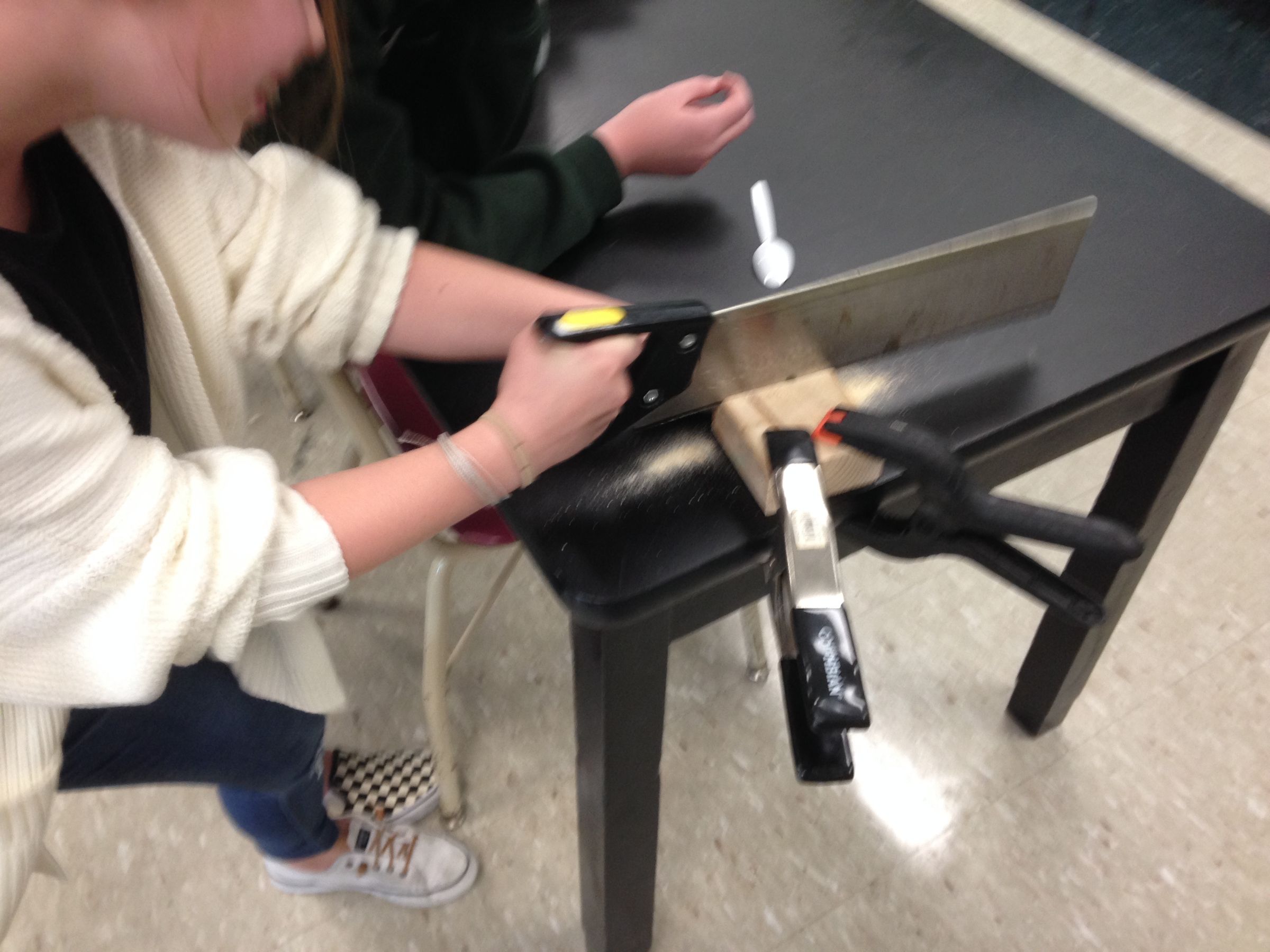 A Fresh Take on Catapults in the Classroom : 6 Steps (with Pictures ...