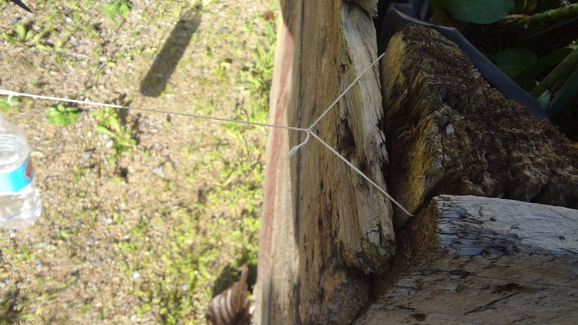 Easy, Hanging Camera Mount : 4 Steps - Instructables
