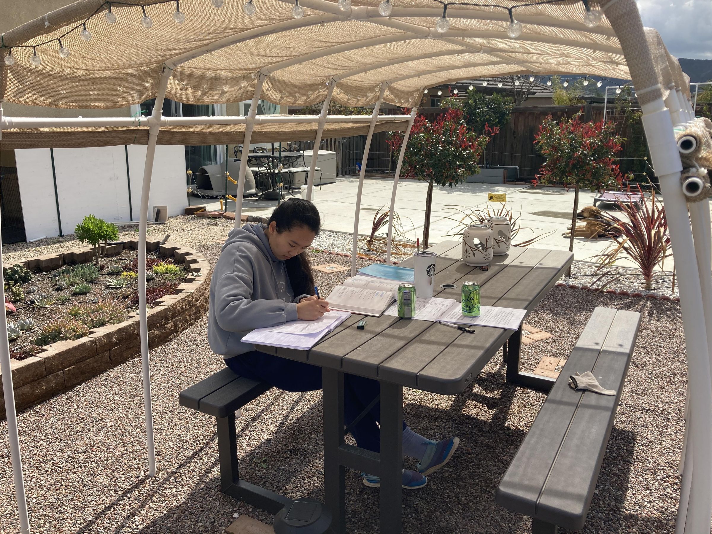 Build a Garden Shed From PVC Pipes : 7 Steps (with Pictures ...