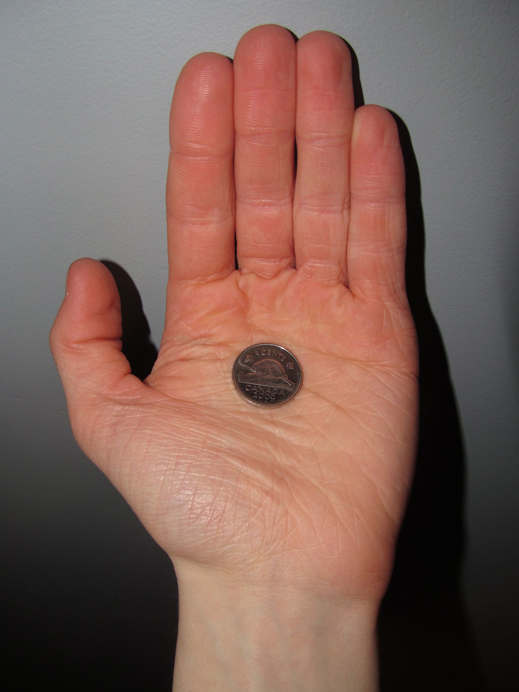 Coin IQ Test Prank : 3 Steps - Instructables