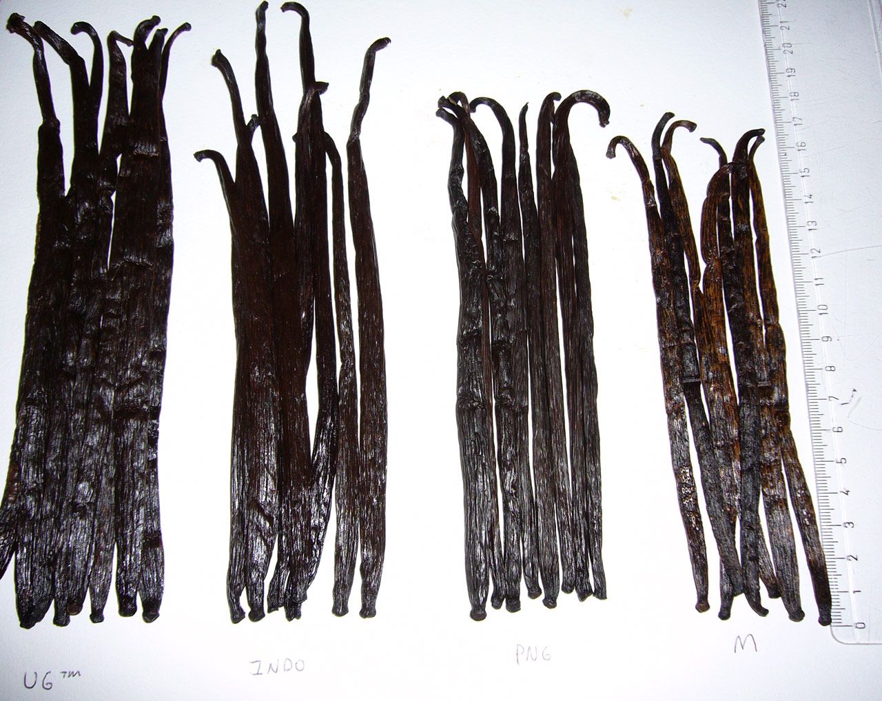 Make Vanilla Extract : 23 Steps (with Pictures) - Instructables