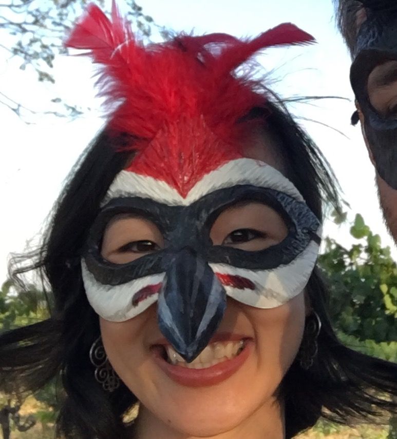 Animal Masquerade Mask