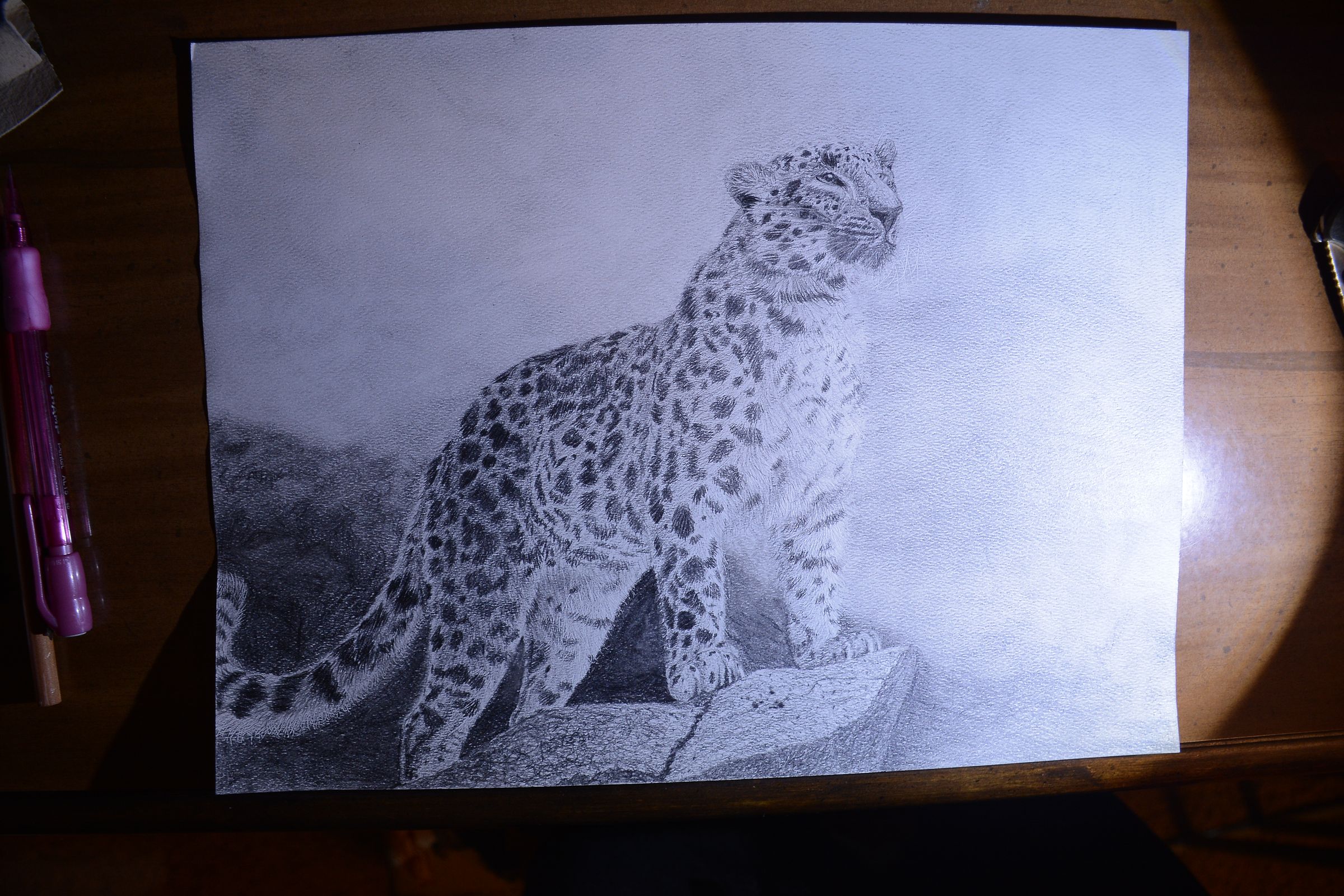 How to Draw an Amur Leopard on Pastel Paper : 5 Steps - Instructables